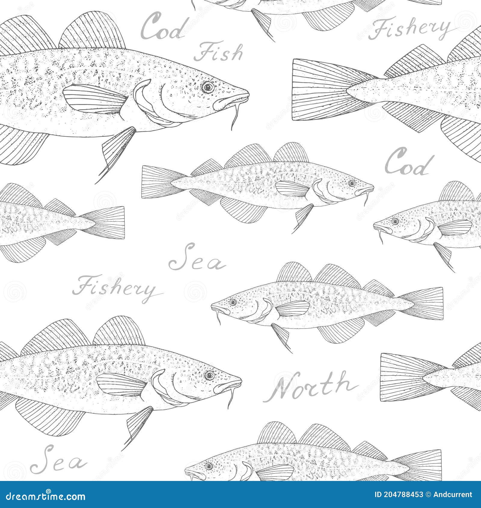 Cod. Black Hand Drawn Realistic Outline Vector Background. Stock Vector ...