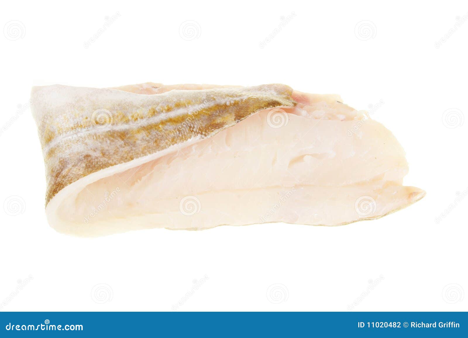 Cod fillet stock photo. Image of fish, food, flesh, fresh - 11020482