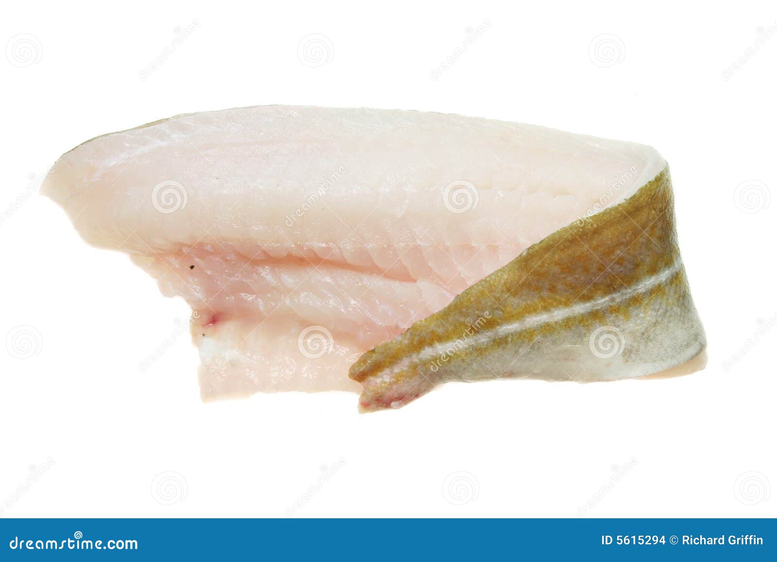 Cod fillet stock photo. Image of fresh, skin, seafood - 5615294