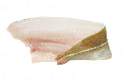 Cod fillet stock photo. Image of fresh, skin, seafood - 5615294