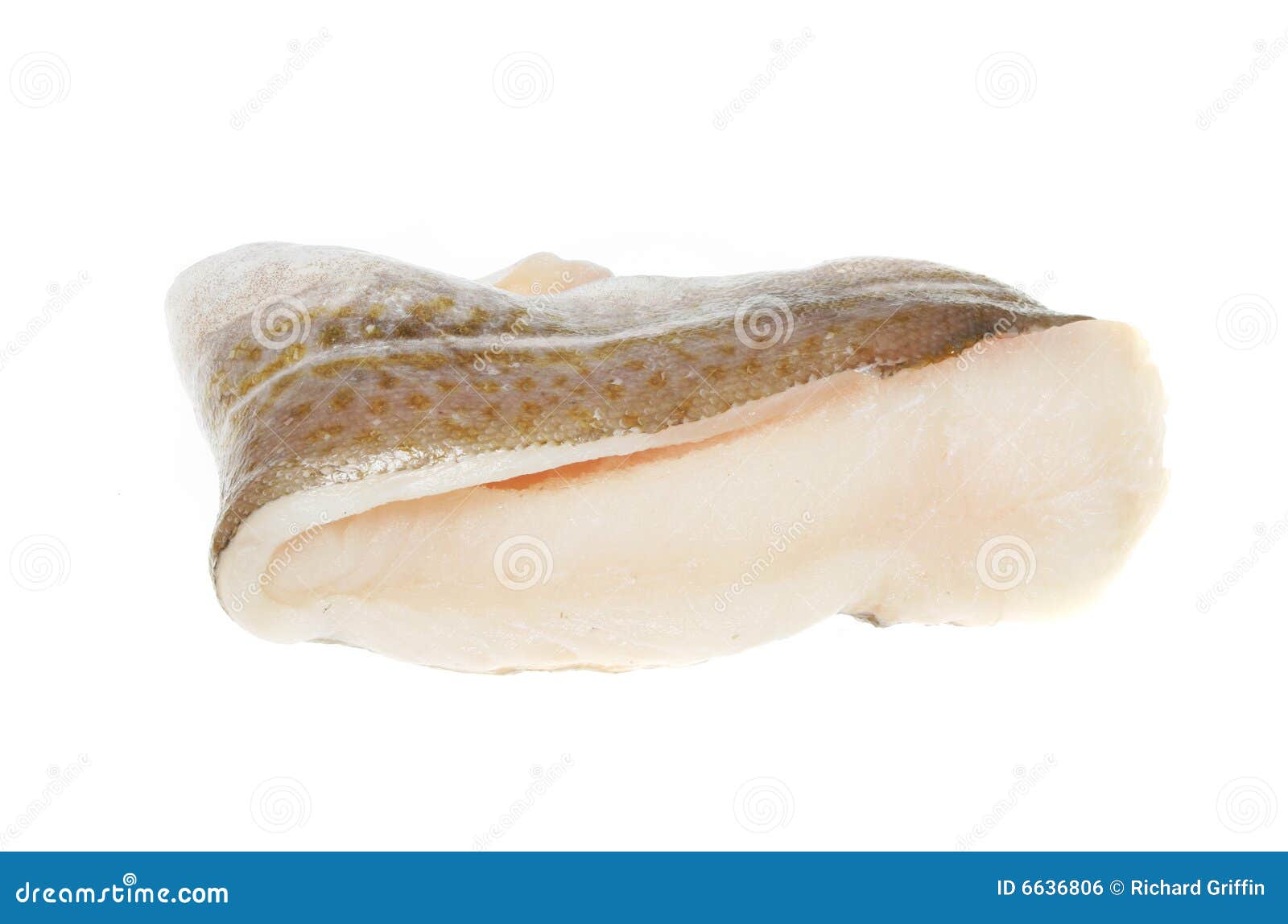 Cod fillet on white stock photo. Image of meat, fish, white - 6636806