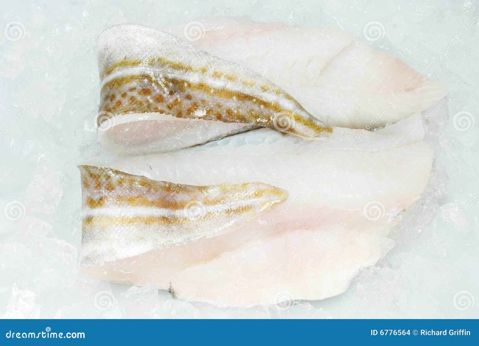 Cod fillets on ice stock photo. Image of fillet, food - 6776564