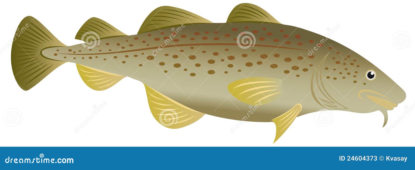Cod Fish Cartoon Vector | CartoonDealer.com #24604373