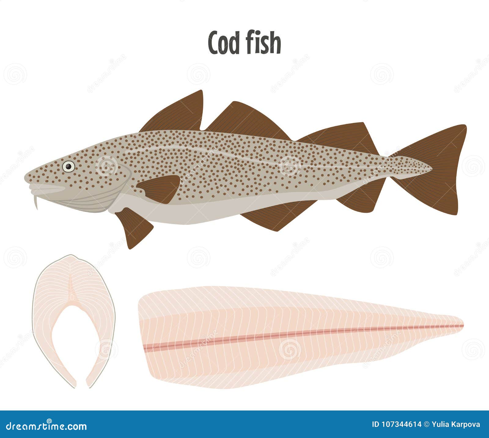 Codfish, Steak and Fillet Vector Illustration Stock Vector ...