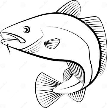 Cod fish stock vector. Illustration of angling, element - 216553262