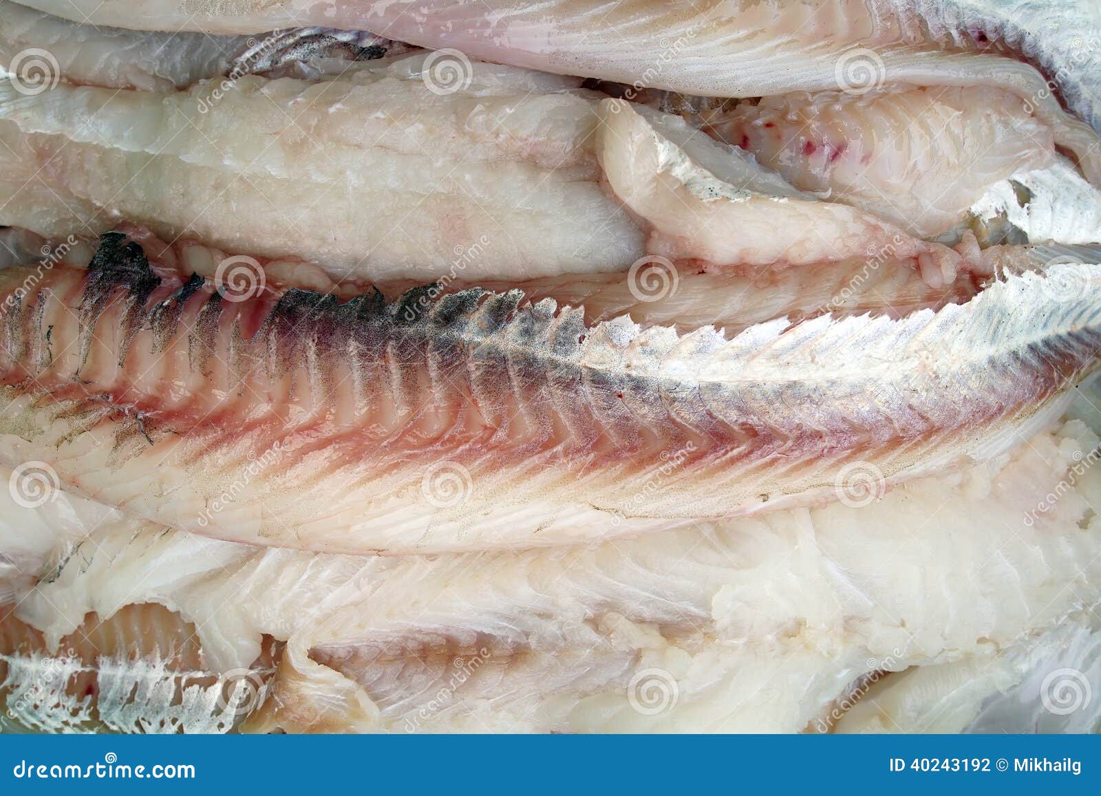 Cod fish filet stock photo. Image of healthy, fish, uncooked - 40243192
