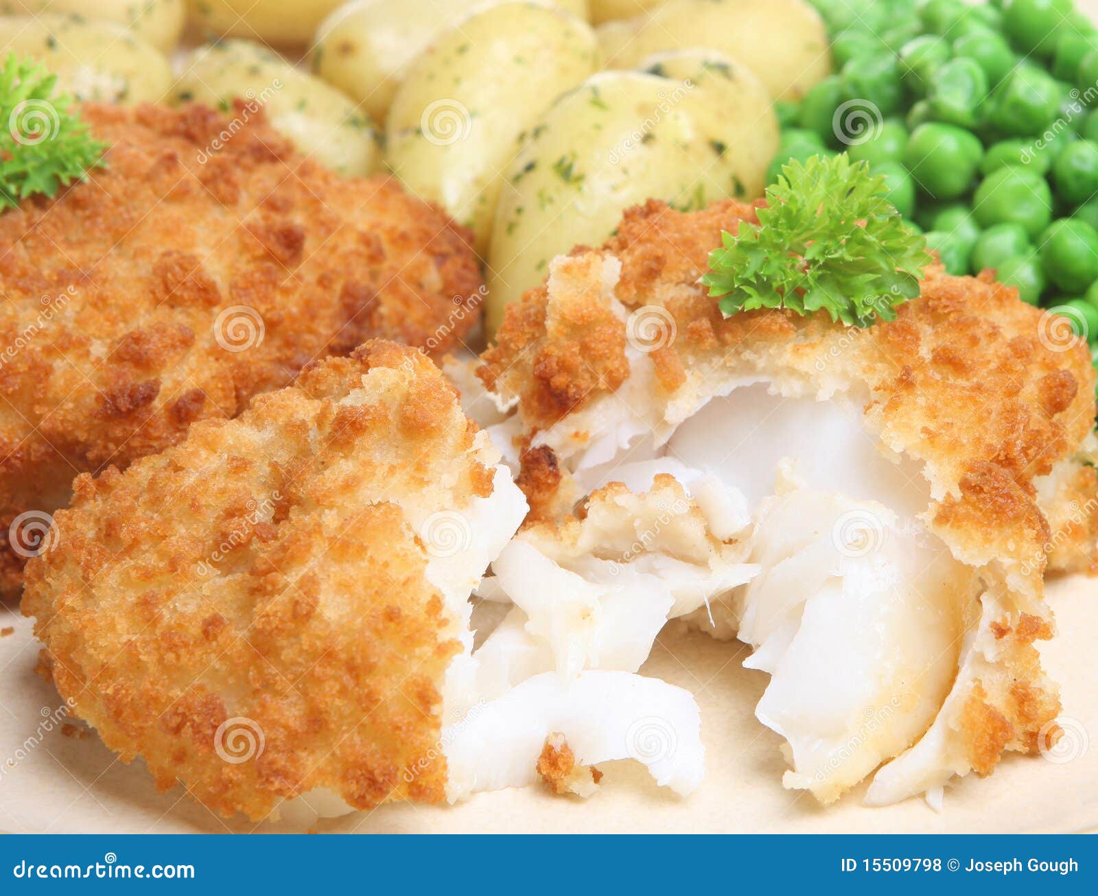 Cod Fish Fillet Meal stock photo. Image of breadcrumbs - 15509798