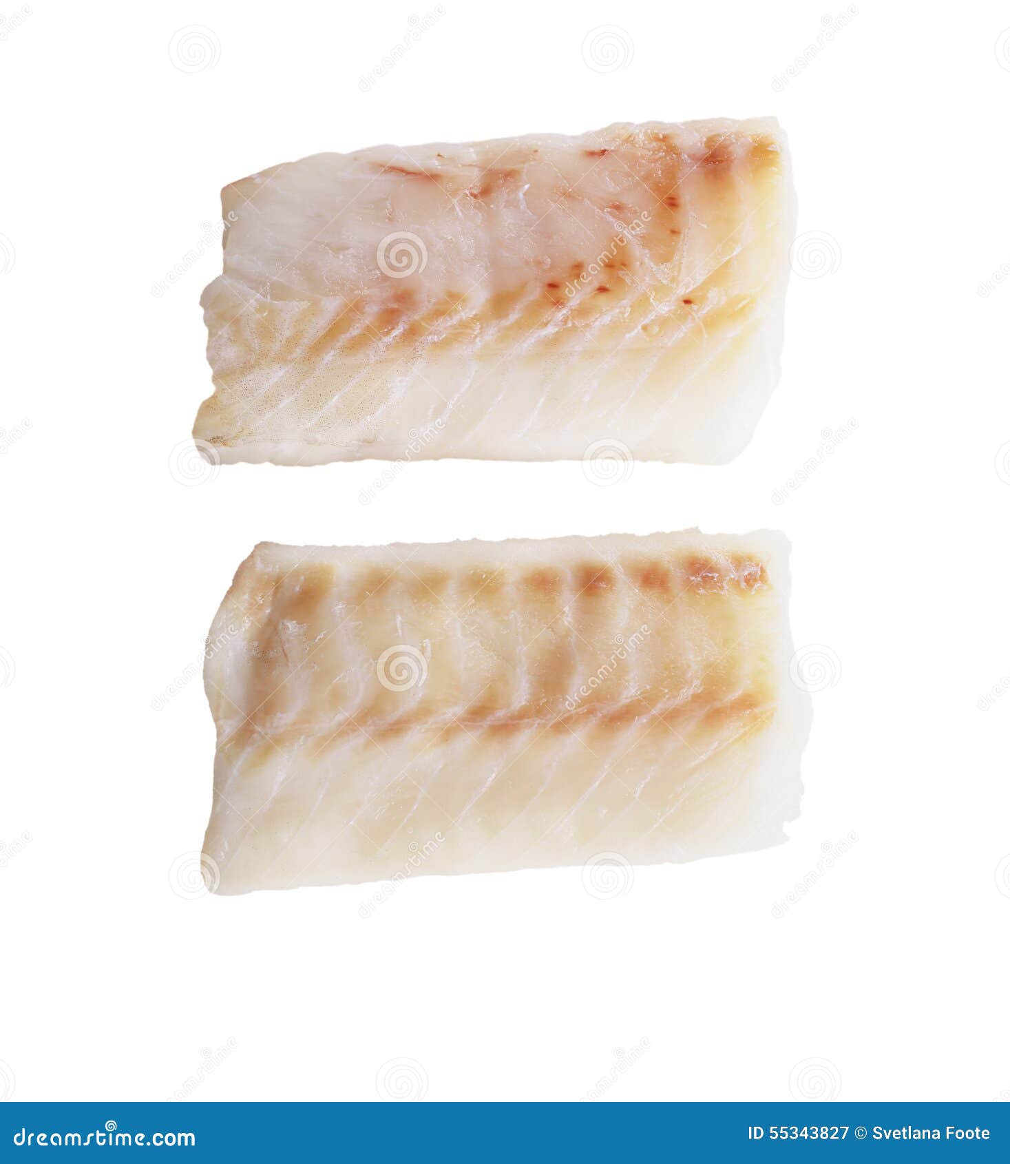 Cod Fish Fillets stock image. Image of seafood, isolated - 55343827