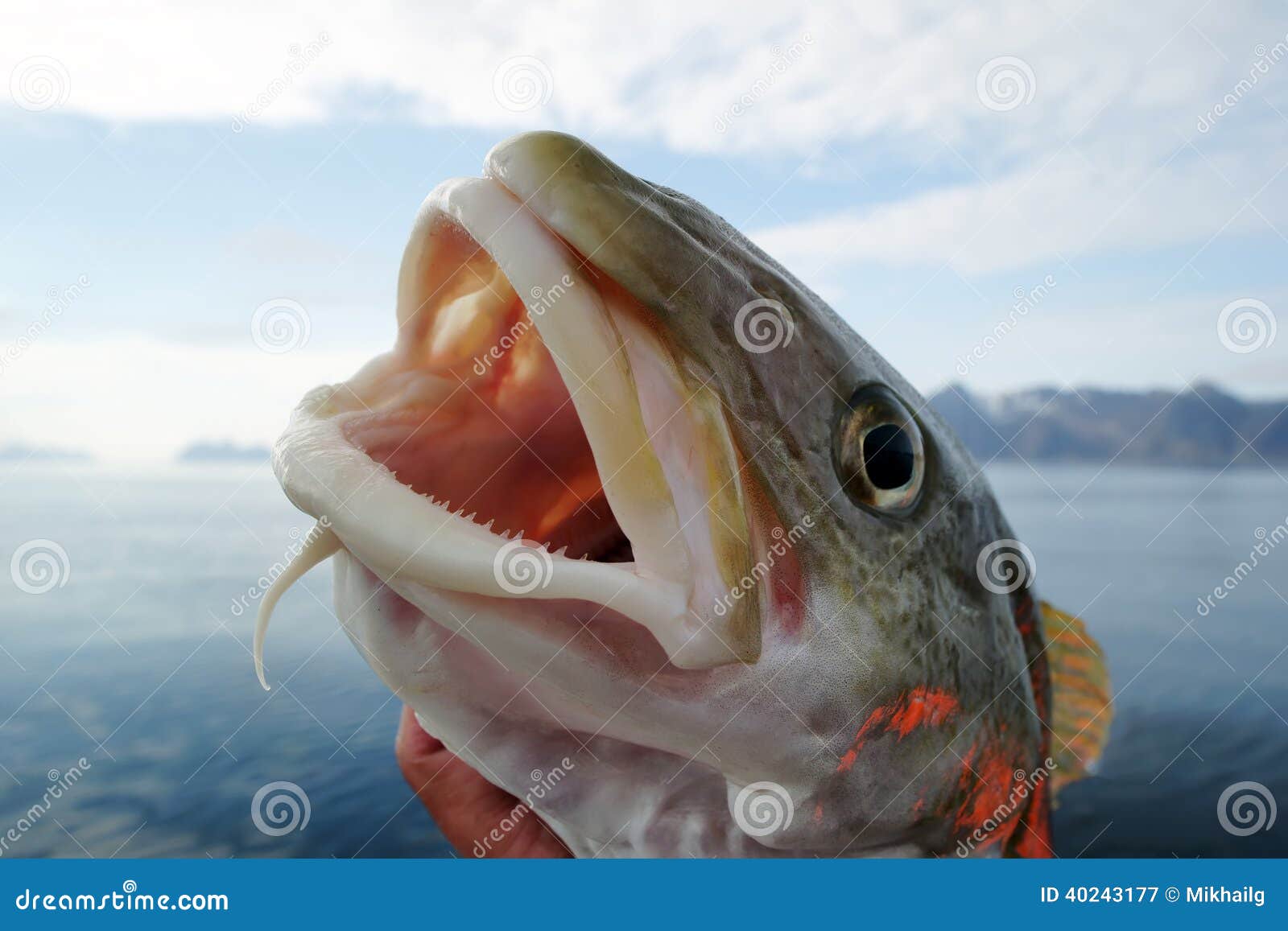 Fishing Dam And Fish Traps In Taungthaman Lake - Myanmar Stock Photo ...