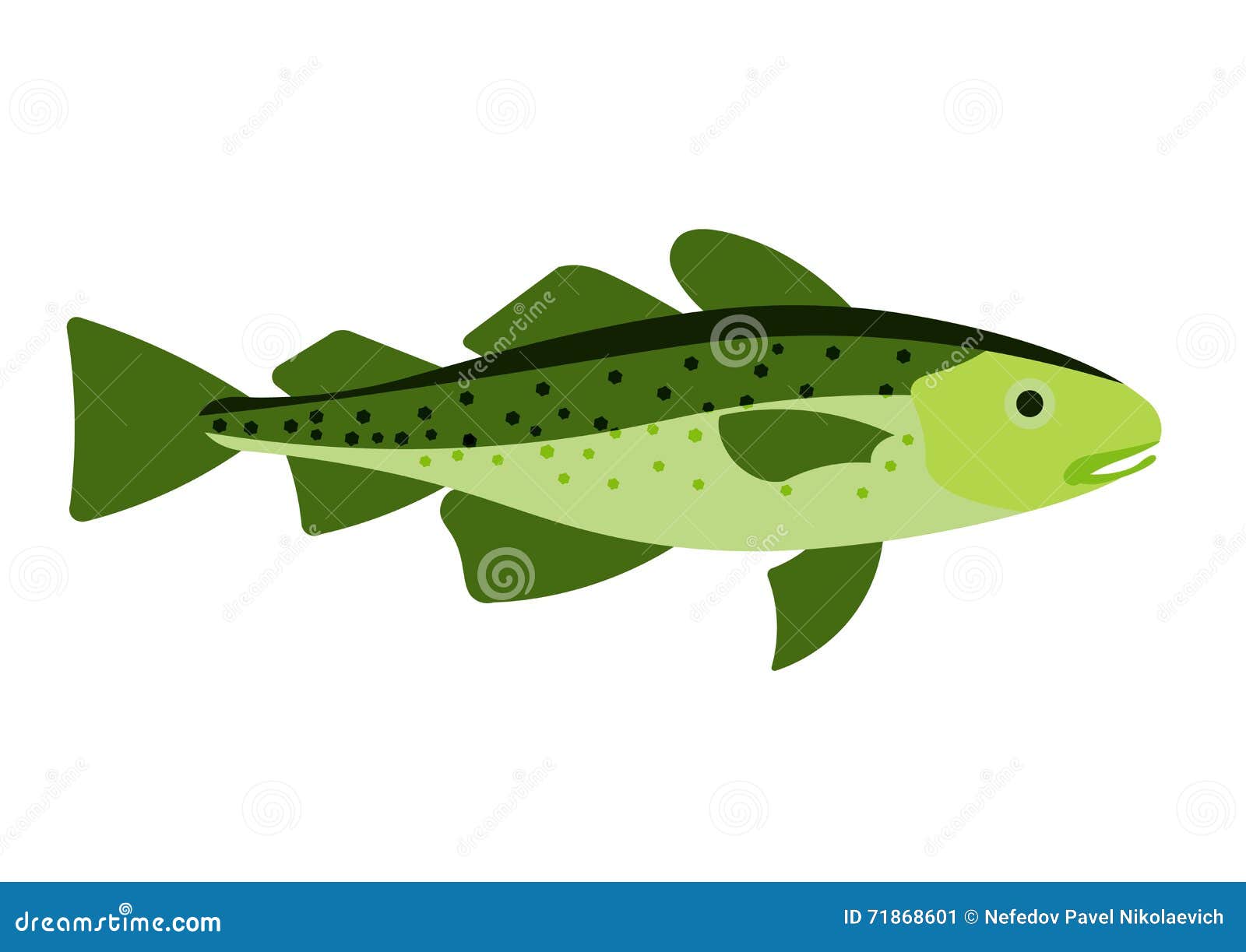 Cod fish illustration. stock illustration. Illustration of codfish ...
