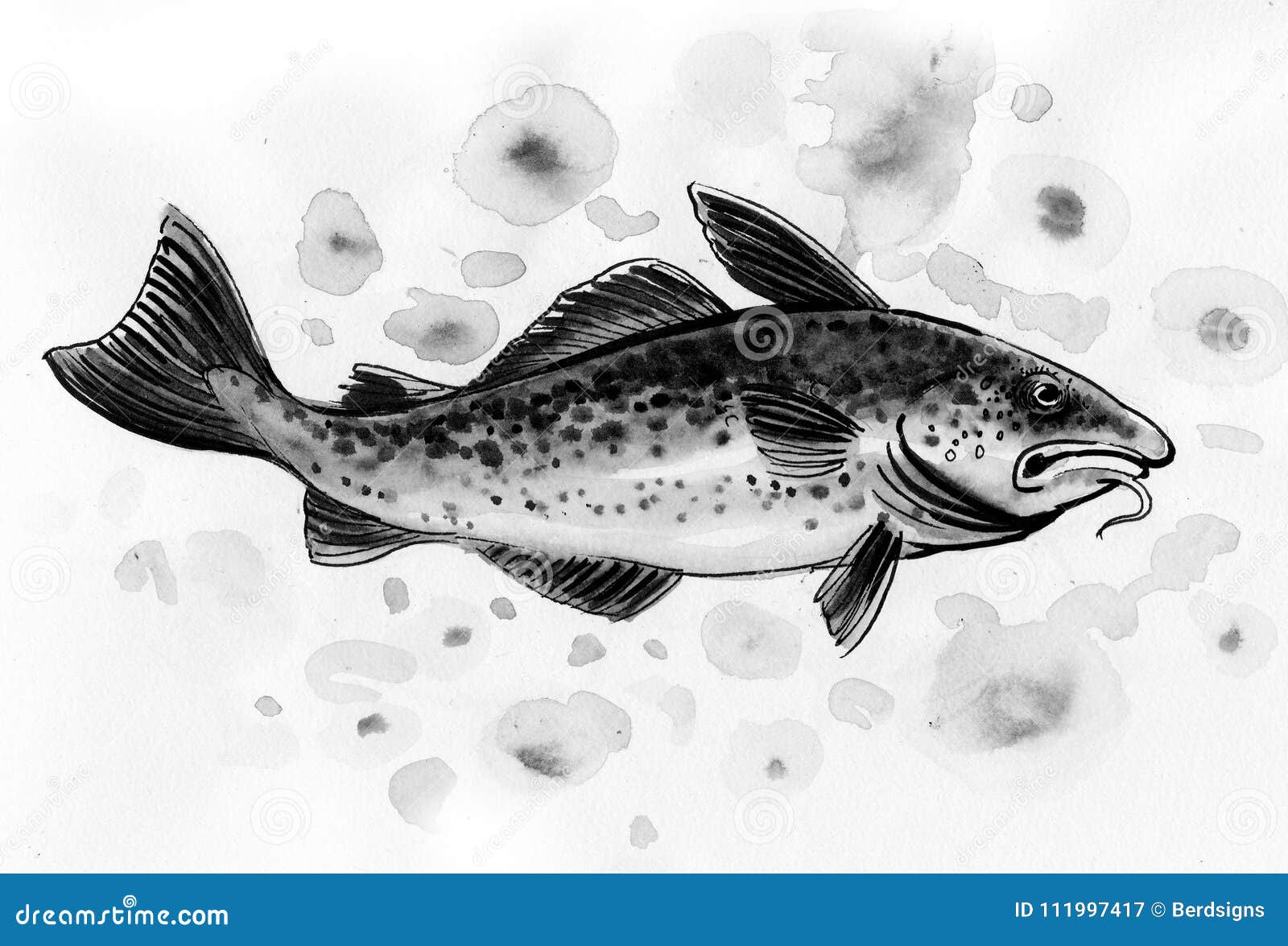 Cod fish stock illustration. Illustration of aquatic - 111997417
