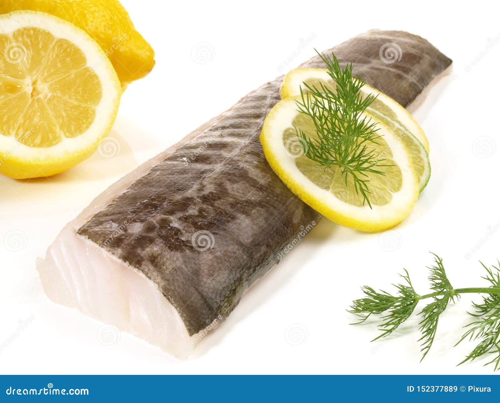 Cod Fish Loin on white stock image. Image of animal - 152377889