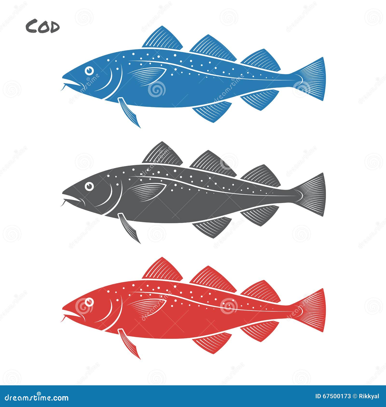 Cod Fish Vector Illustration Stock Vector - Illustration of salmon ...