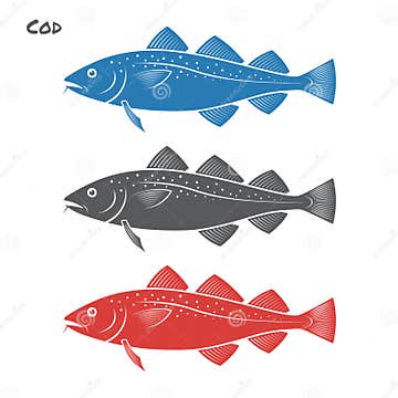 Cod Fish Vector Illustration Stock Vector - Illustration of salmon ...