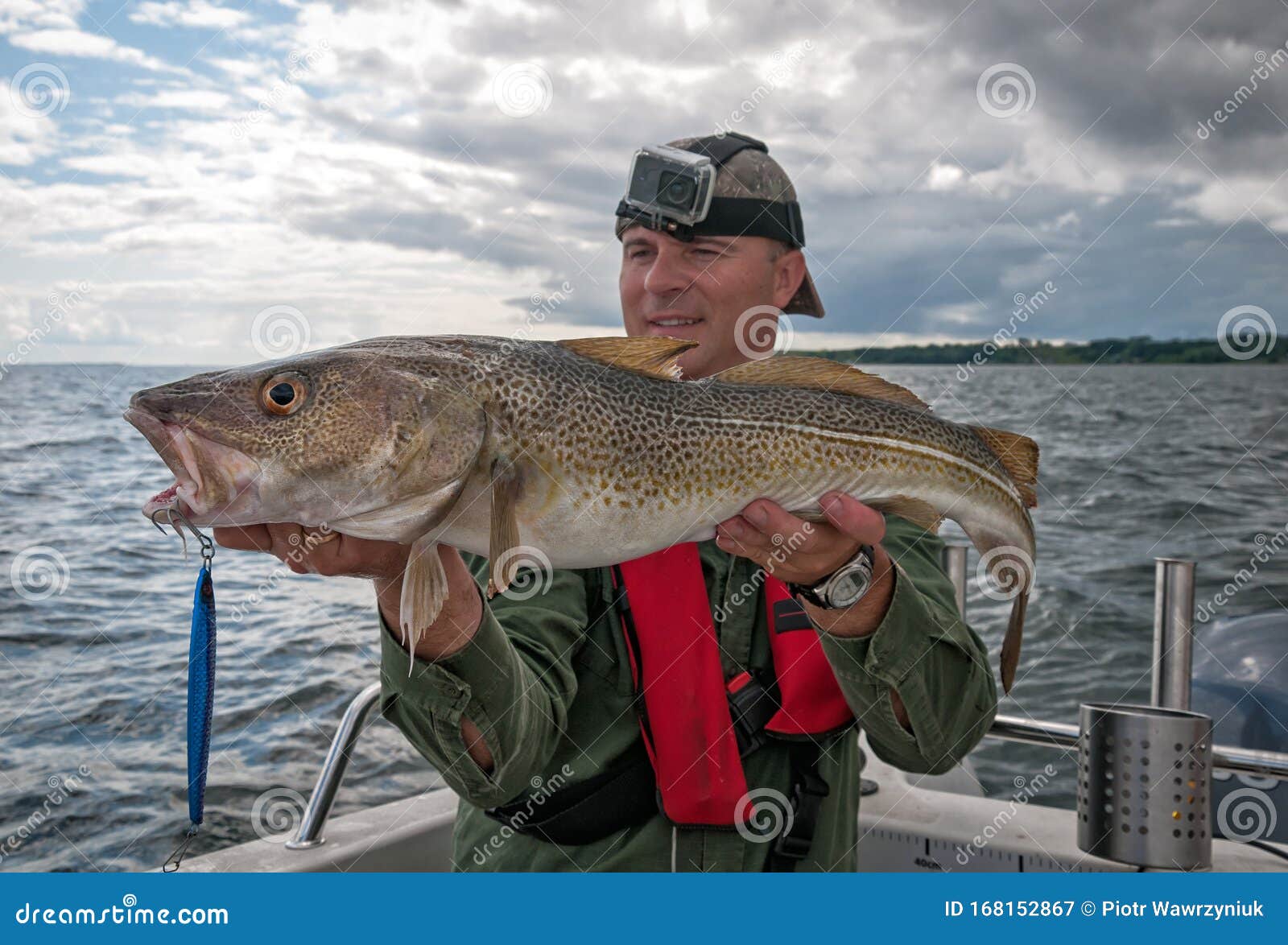 Cod fishing in Sweden stock image. Image of angler, adventure - 168152867