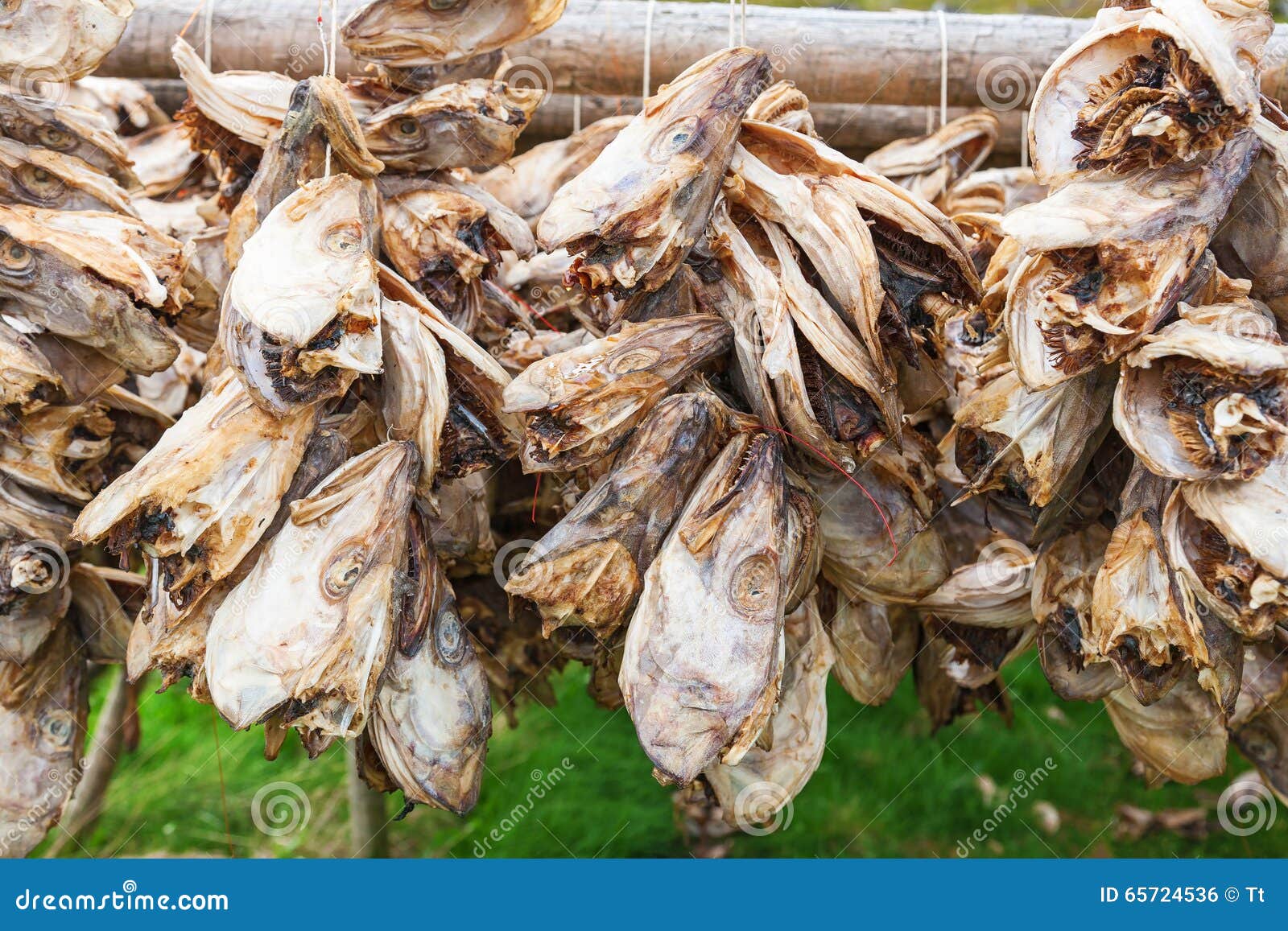 Cod s head stock photo. Image of head, racks, outside - 65724536