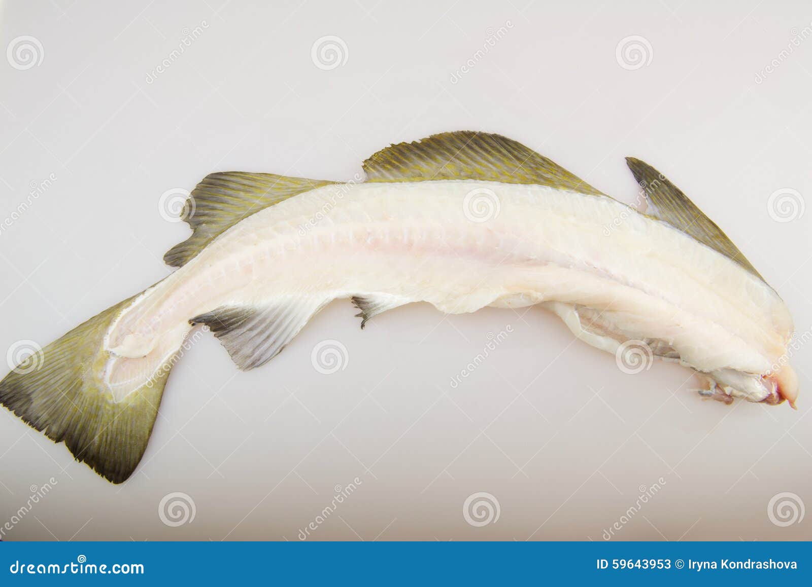 Cod skeleton stock image. Image of dead, nature, animal - 59643953