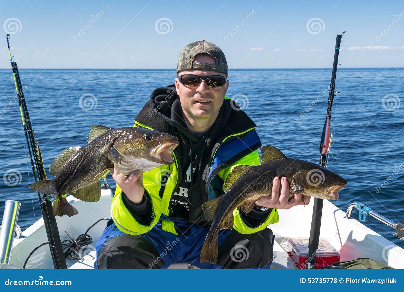 Cod spring fishing stock photo. Image of angler, codfish - 53735778