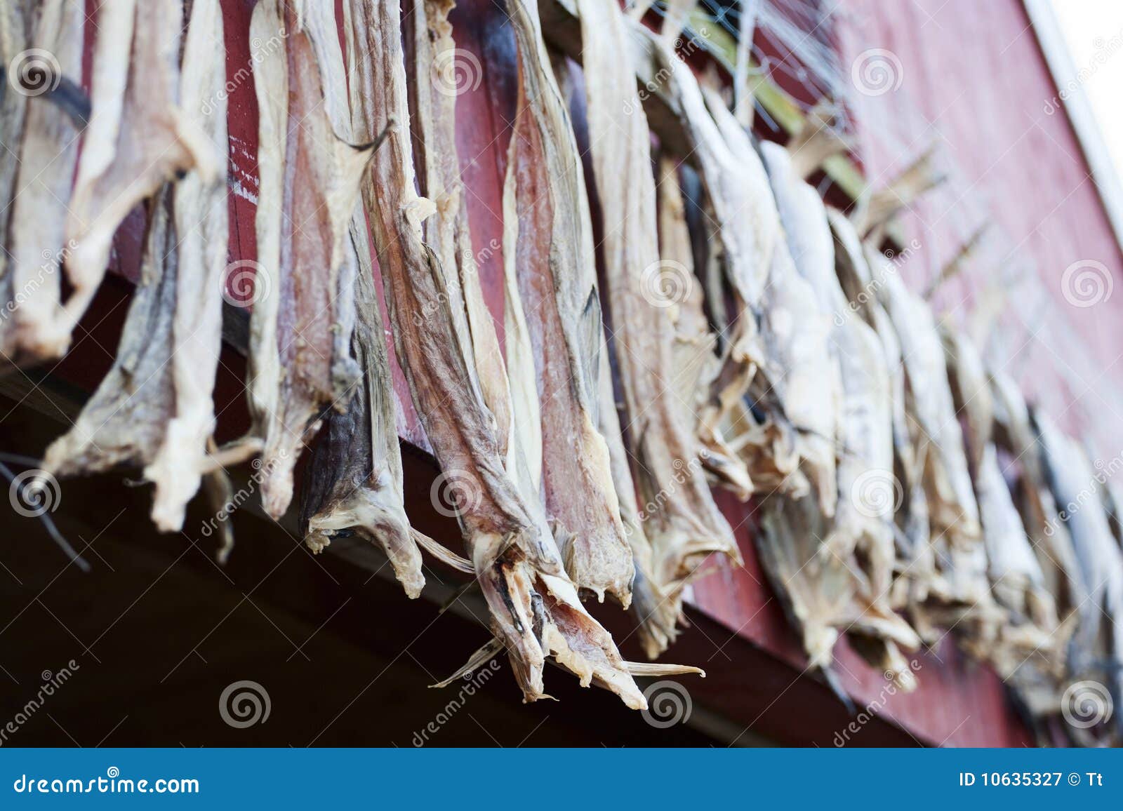 Cod stockfish stock image. Image of norway, wall, nordland - 10635327