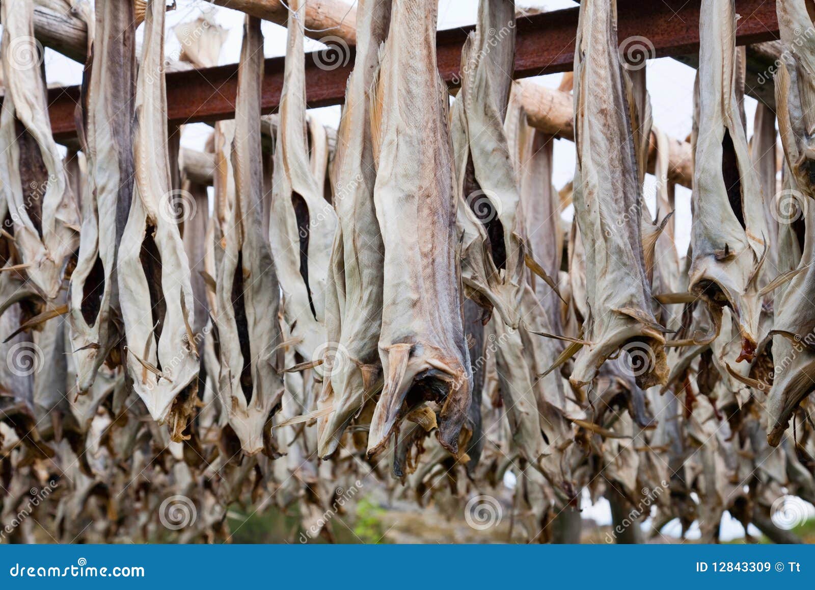Cod stockfish stock image. Image of nature, fish, islands - 12843309