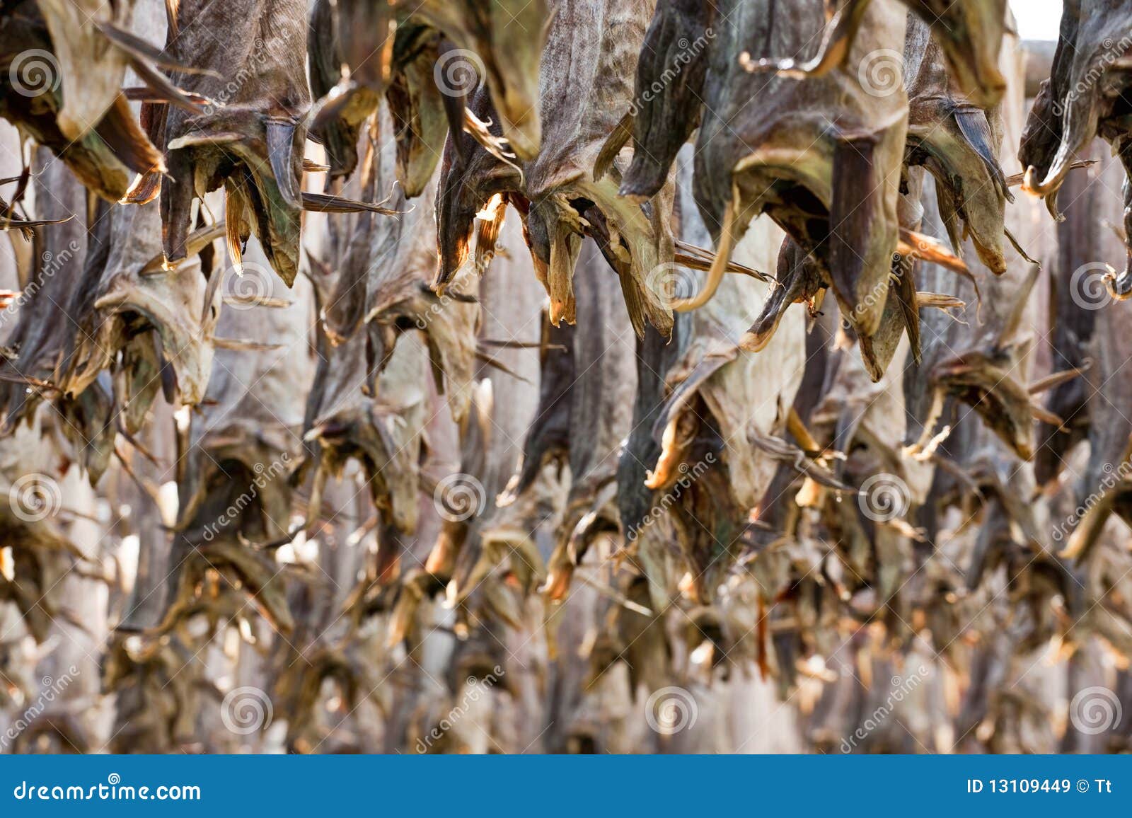 Cod stockfish stock image. Image of outside, industry - 13109449