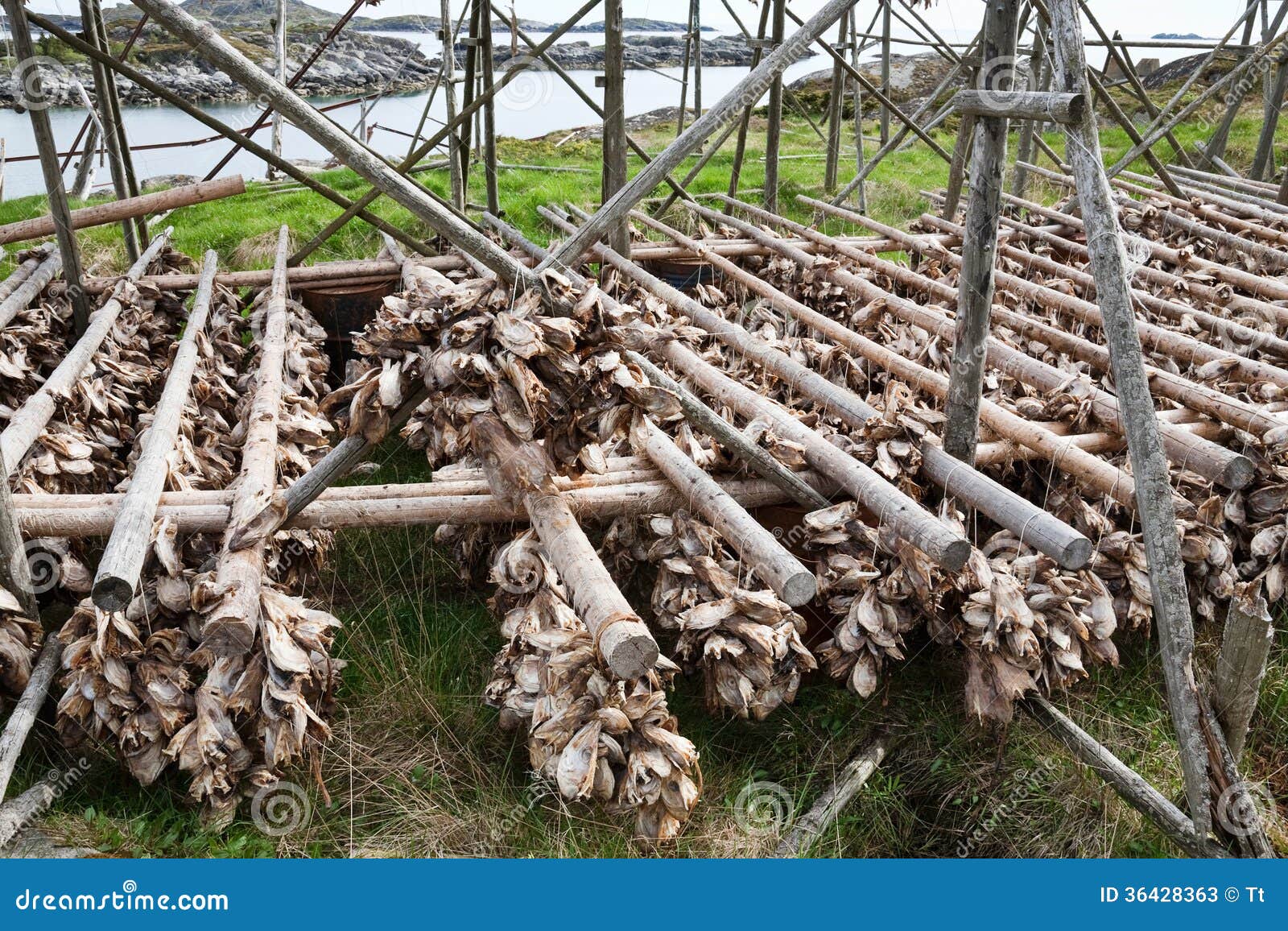 Cod stockfish stock image. Image of outside, norwegian - 36428363