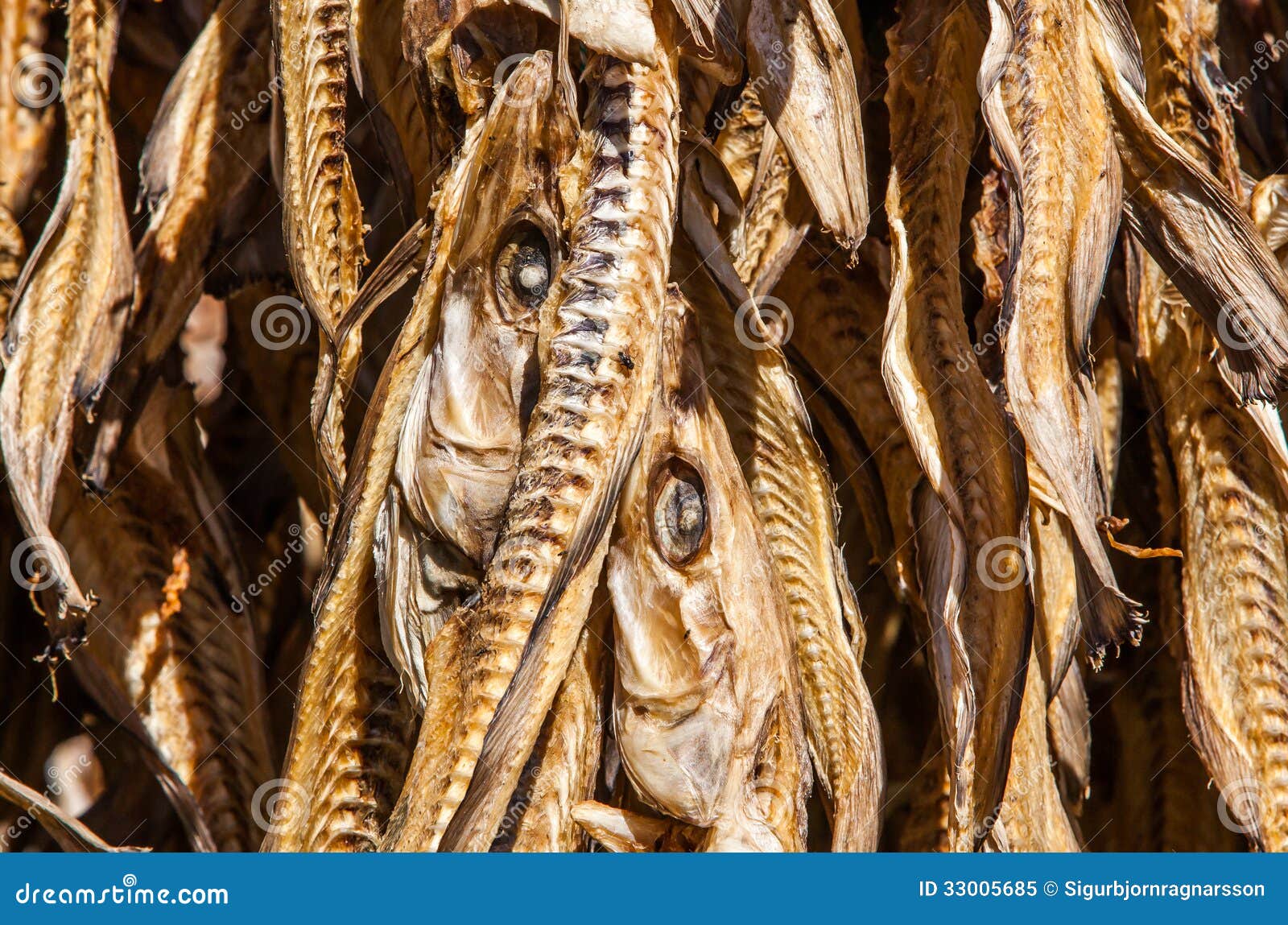 Cod Stockfish stock image. Image of environment, fish - 33005685