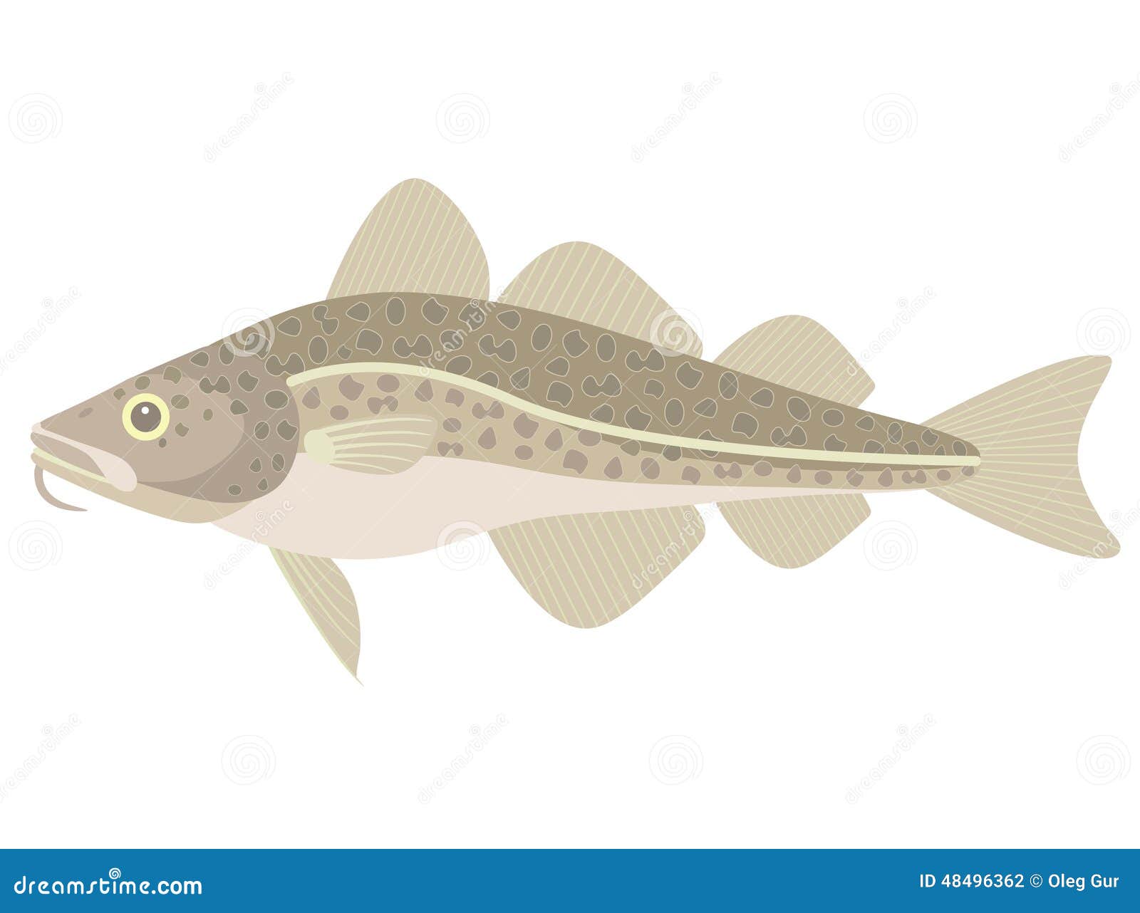 Cod stock vector. Illustration of seafood, food, silhouette - 48496362