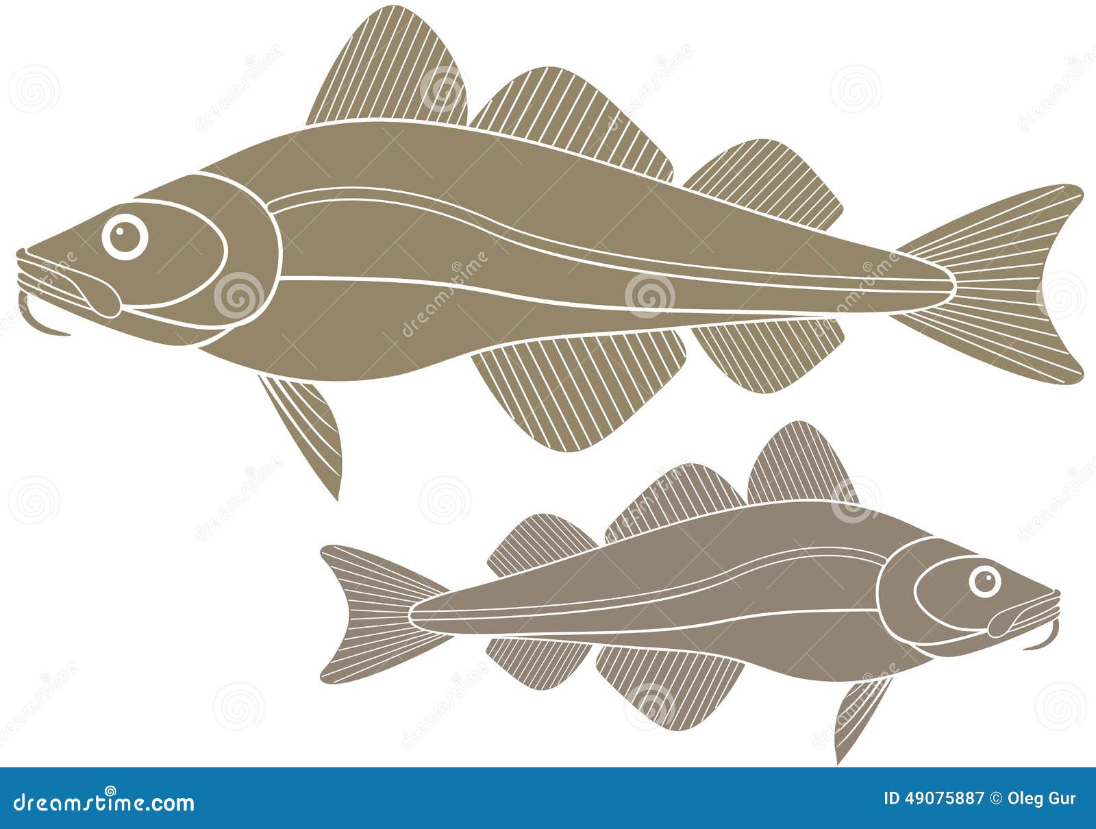 Cod stock vector. Illustration of ocean, symbol, isolated - 49075887