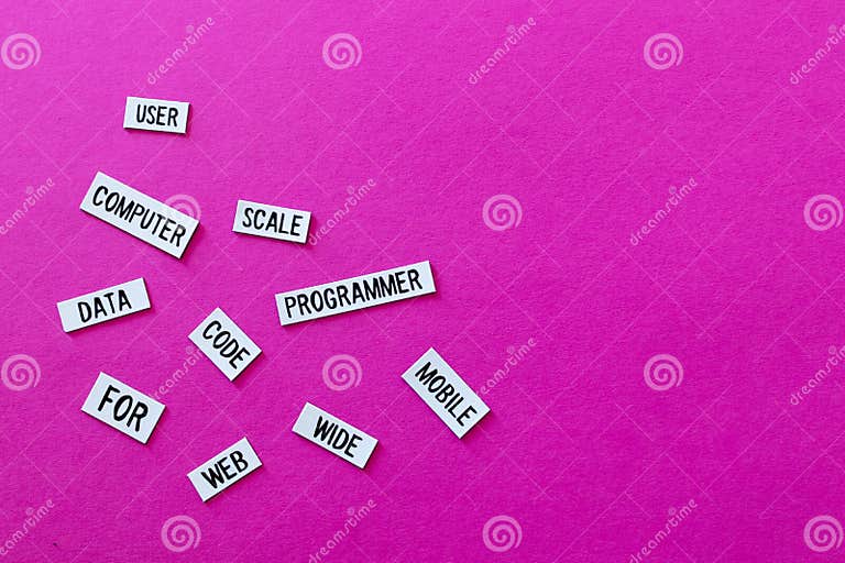 Code Computer Programmer Data Text on Pink Background. Flat Color ...