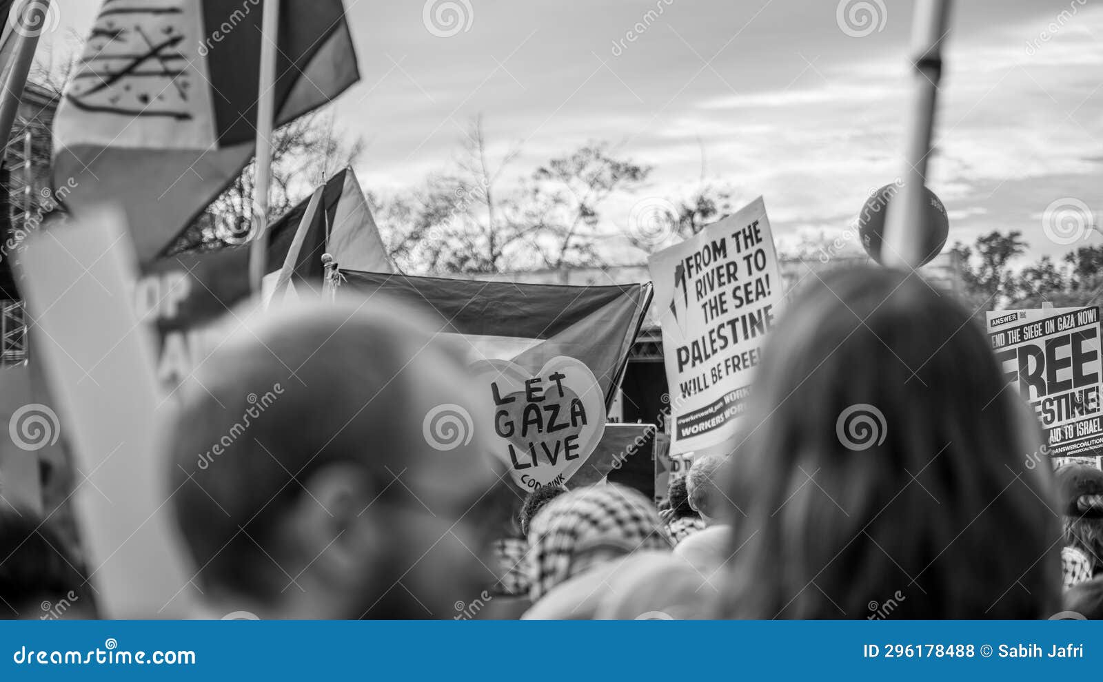 Washington, DC - 11-4-2023: Code Pink Protest Sign at Palestine March ...