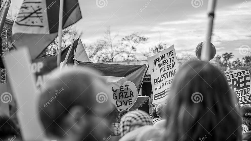 Washington, DC - 11-4-2023: Code Pink Protest Sign at Palestine March ...