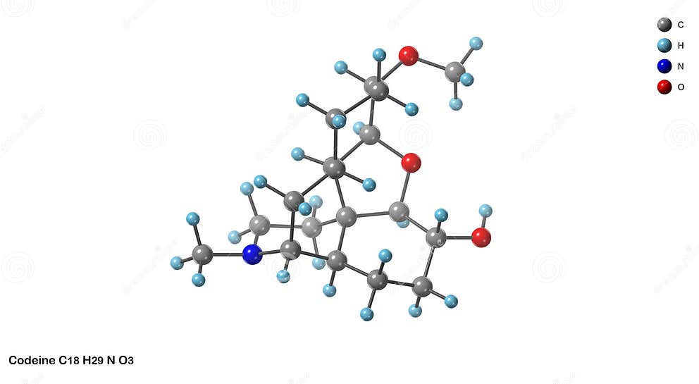 Codeine C18H29NO3 Molecular Structure Diagram Stock Illustration ...
