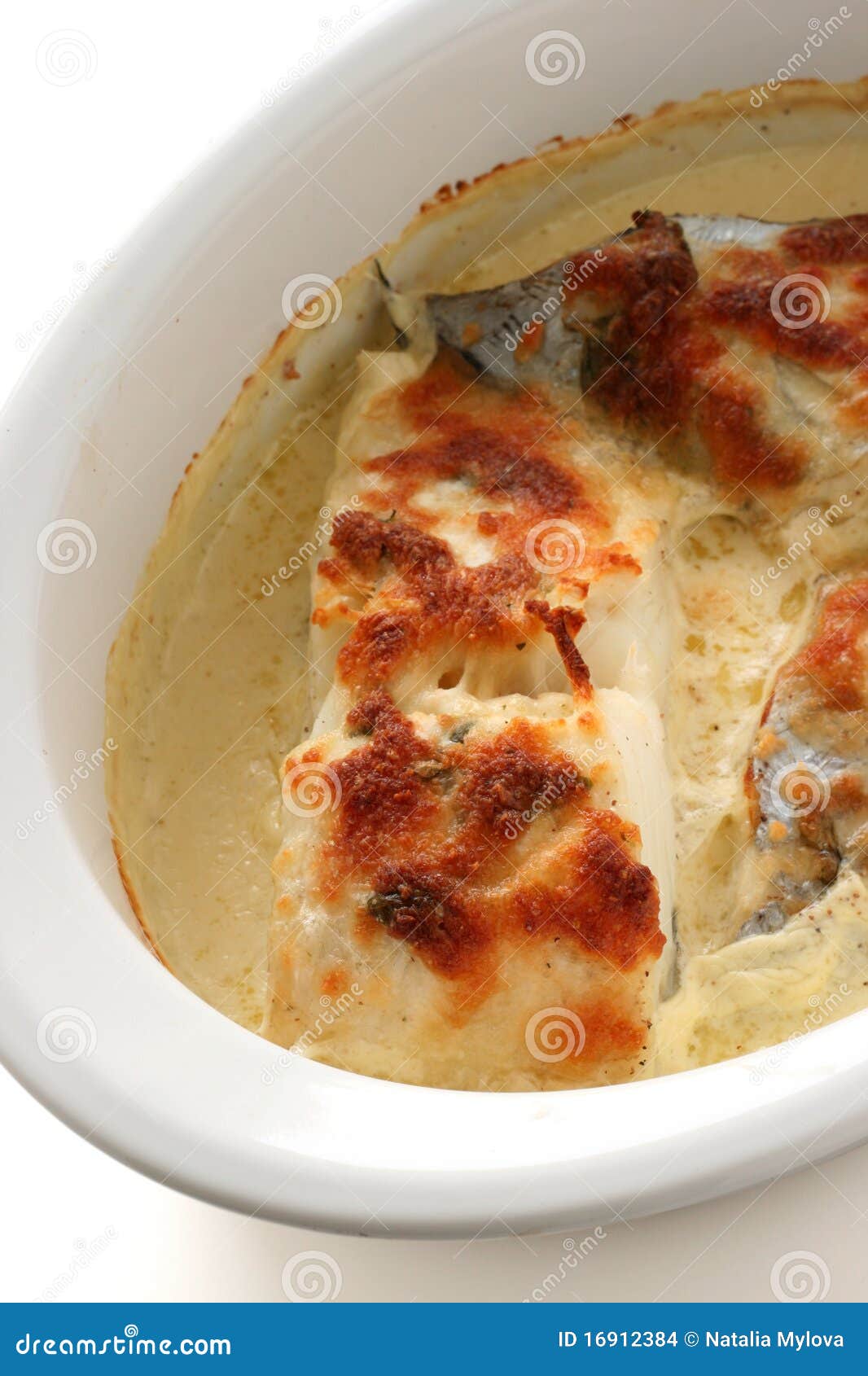 Codfish baked with cheese stock photo. Image of bowl - 16912384