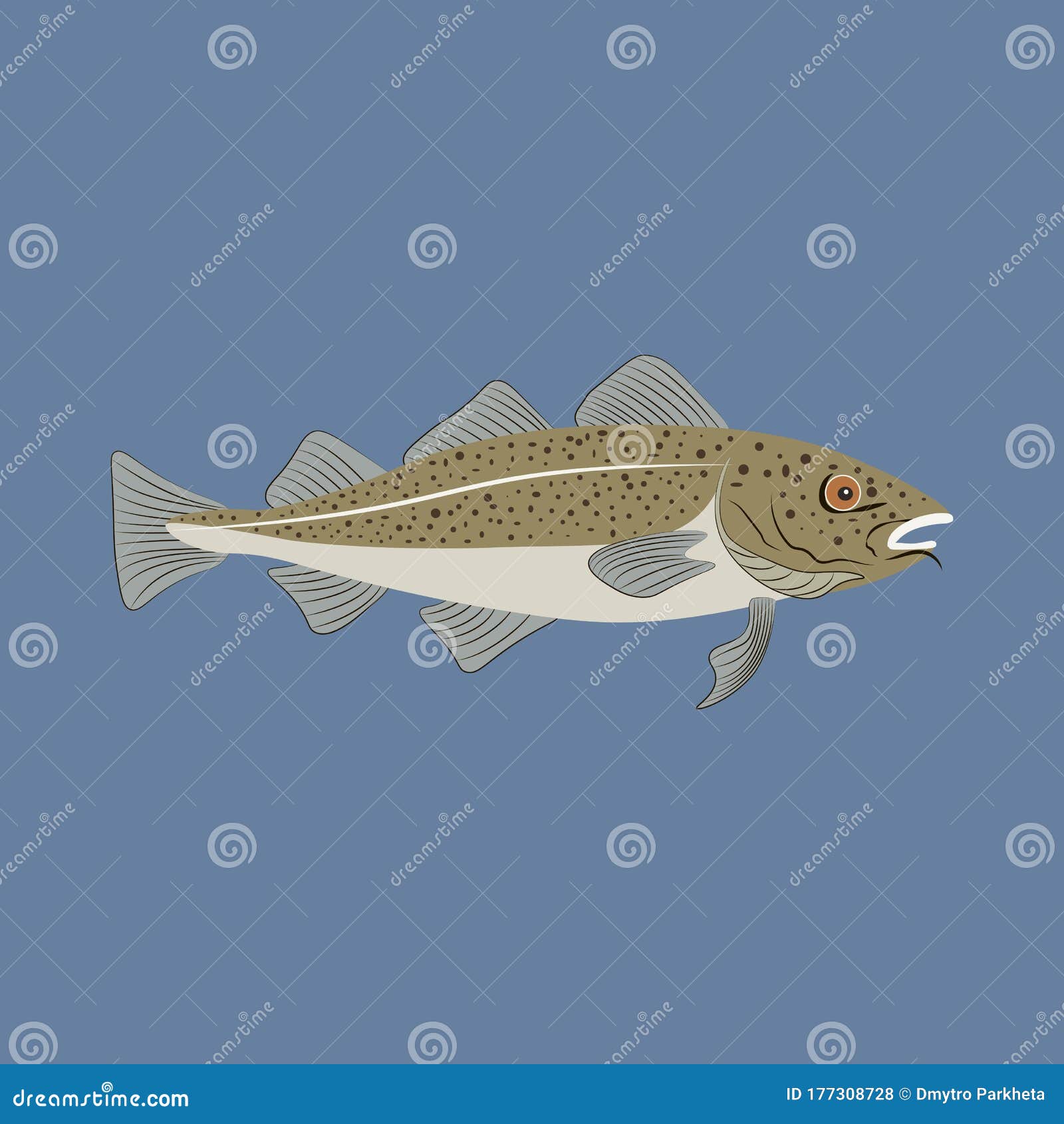 Codfish Vector Illustration, Silhouette Of Fish Codfish,Cod Fish ...