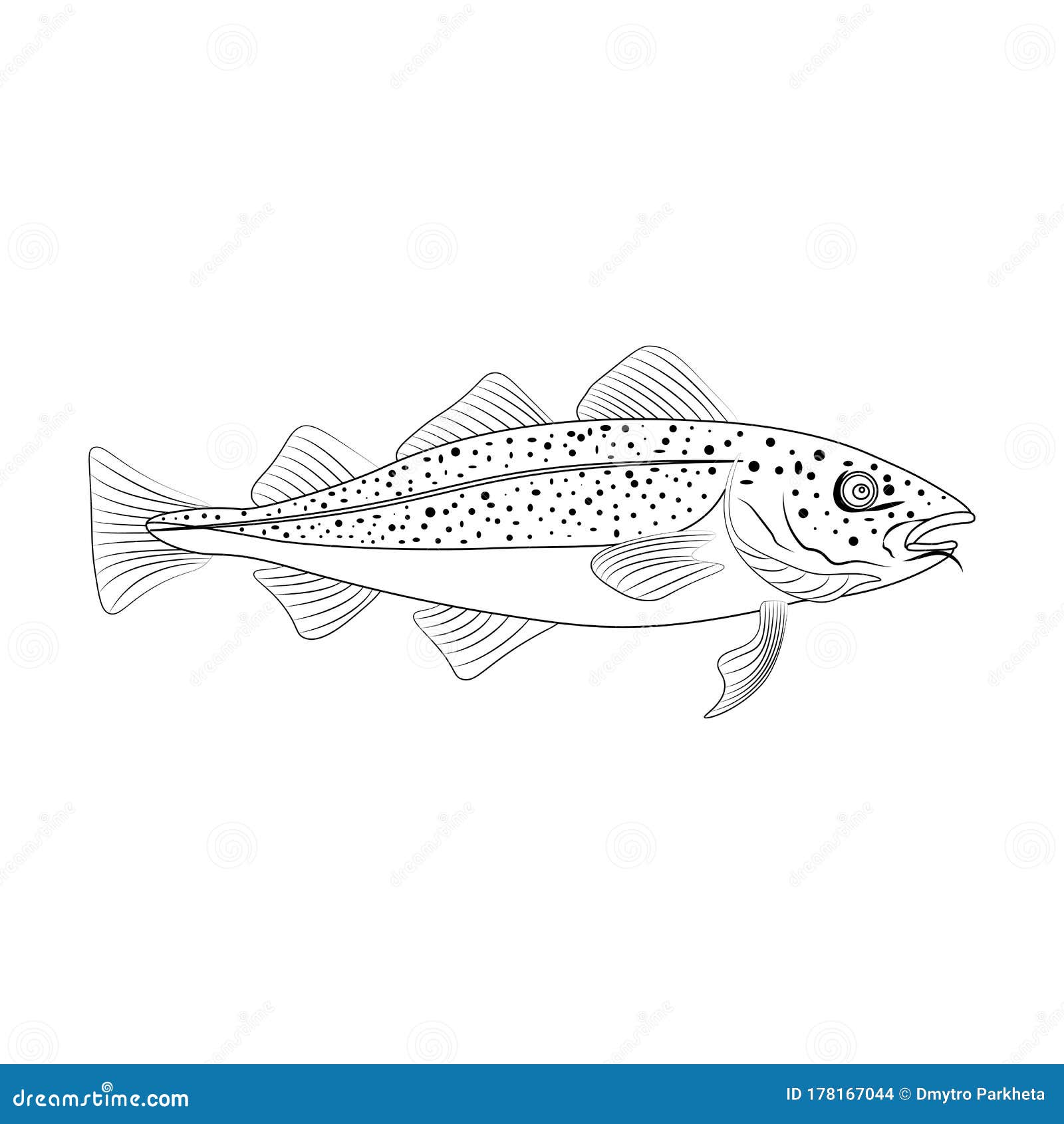 Codfish, Illustration | CartoonDealer.com #78294303
