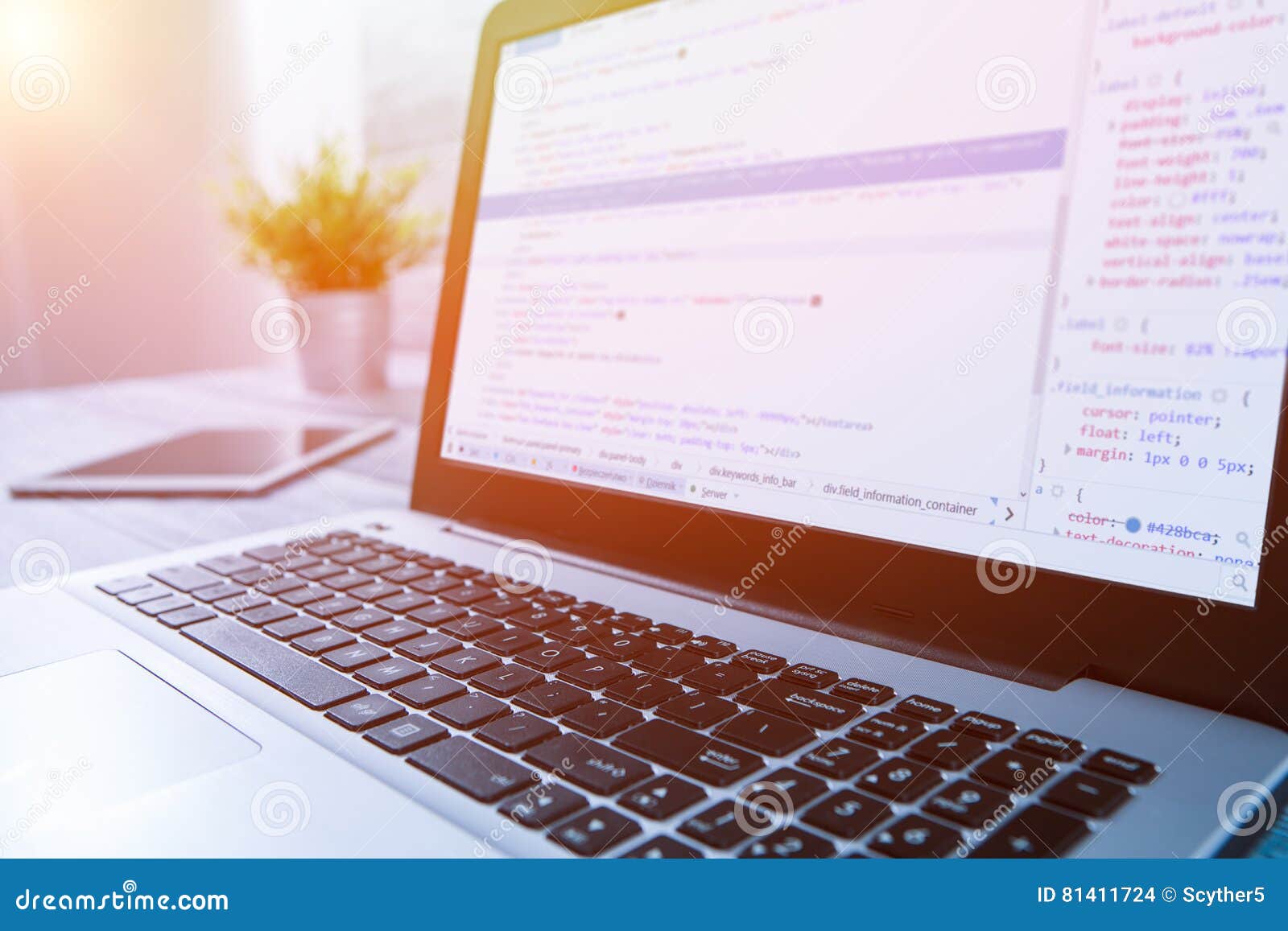 Coding Code Program Compute Coder Develop Developer Development Royalty ... Coding Code Program Compute Coder Develop Developer Development Royalty ...