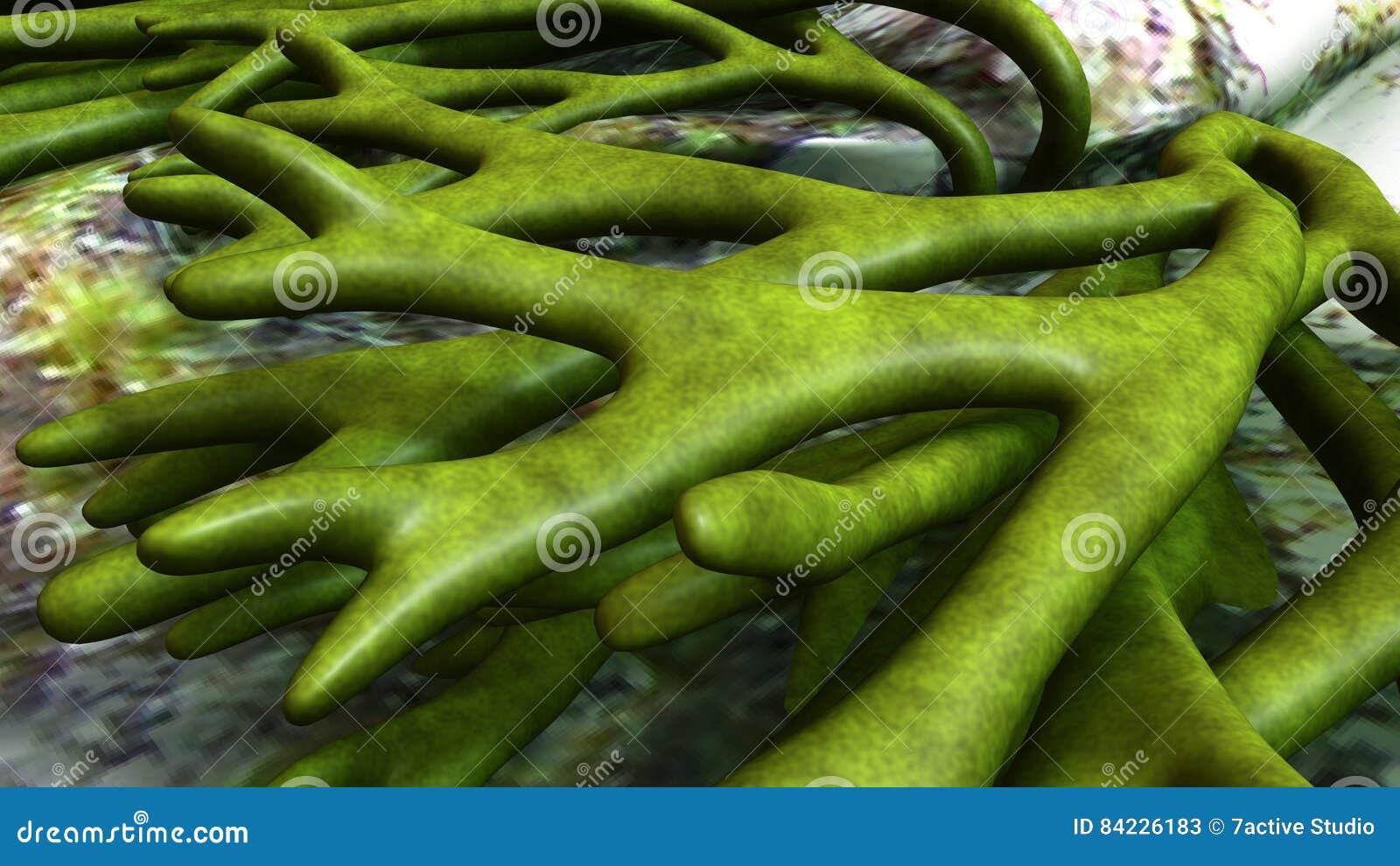 Codium stock illustration. Illustration of ocean, fragile - 84226183