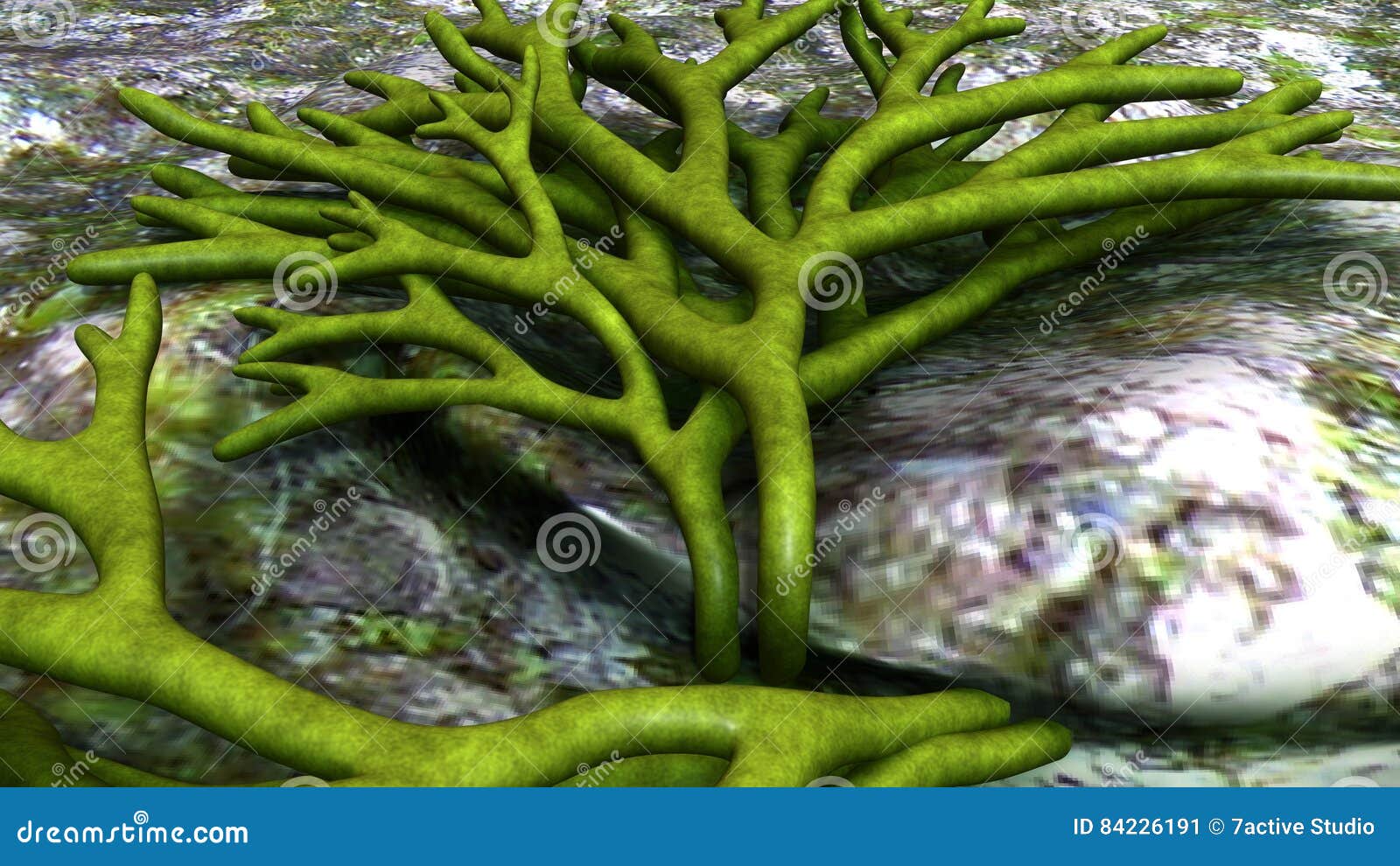 Codium stock illustration. Illustration of coralline - 84226191