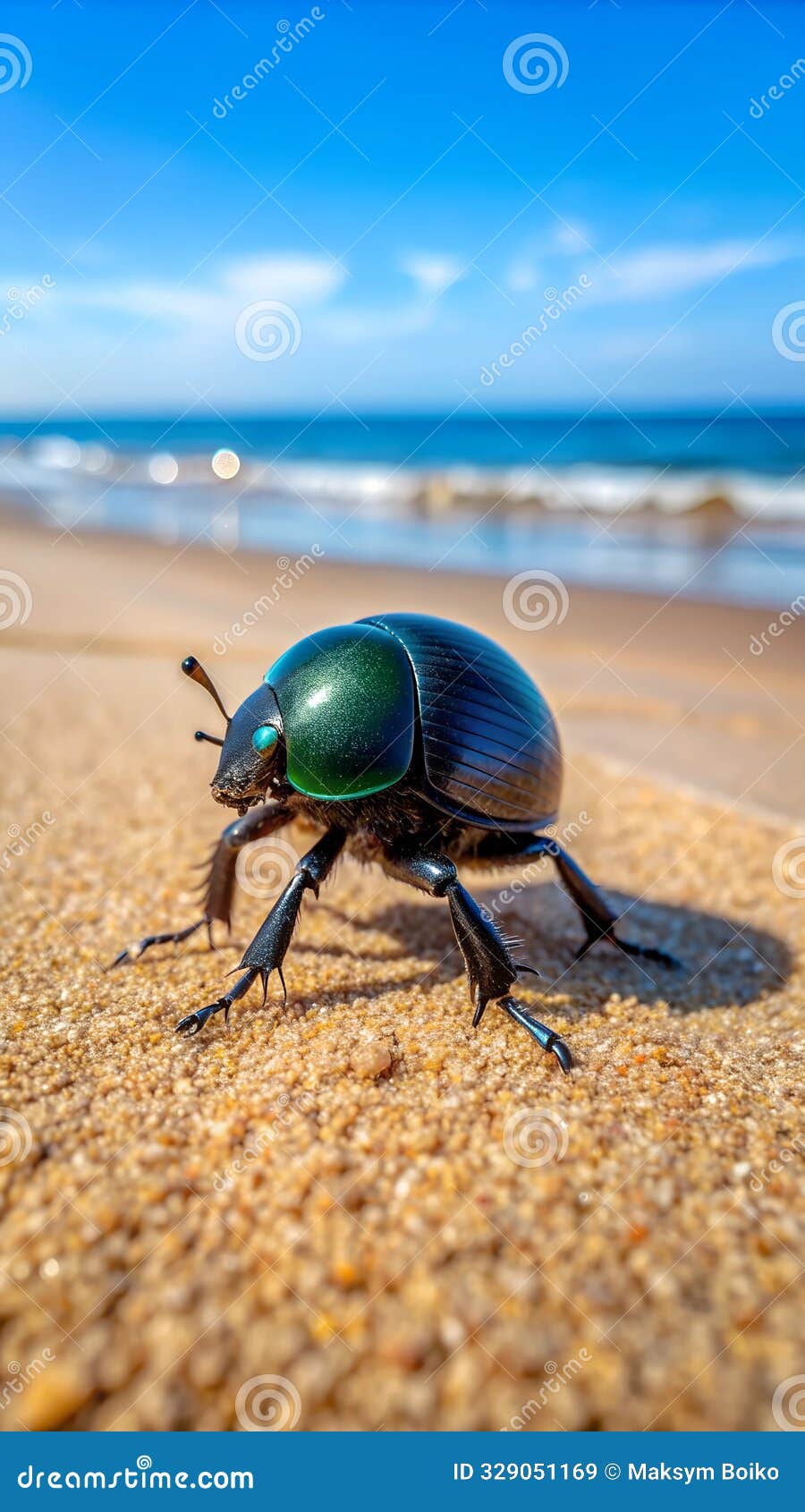 Codling Moth Angry Kawaii Vector Illustration | CartoonDealer.com ...