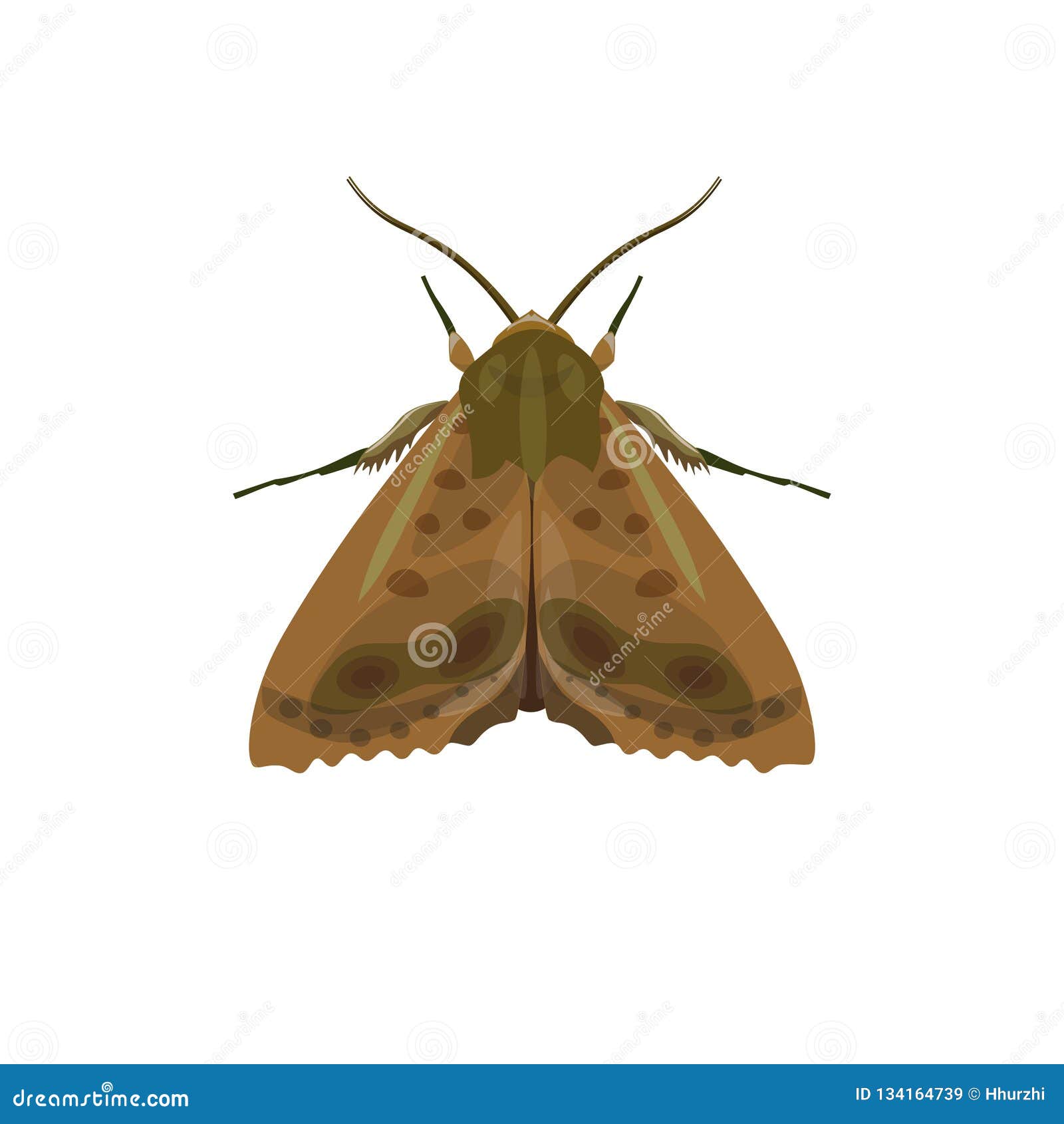 Codling Moth Angry Kawaii Vector Illustration | CartoonDealer.com ...
