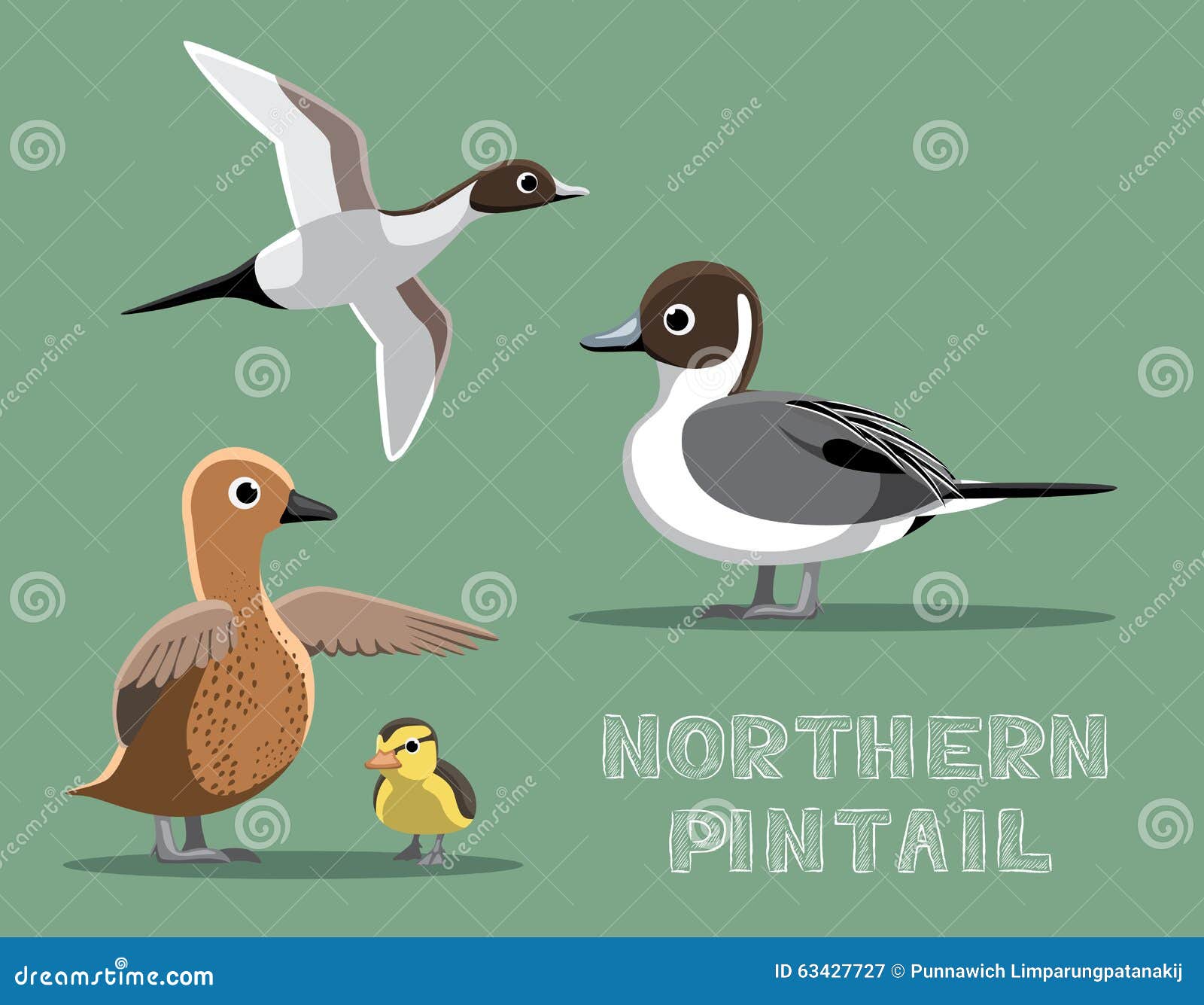 Codone Nordico Duck Cartoon Vector Illustration Illustrazione ...