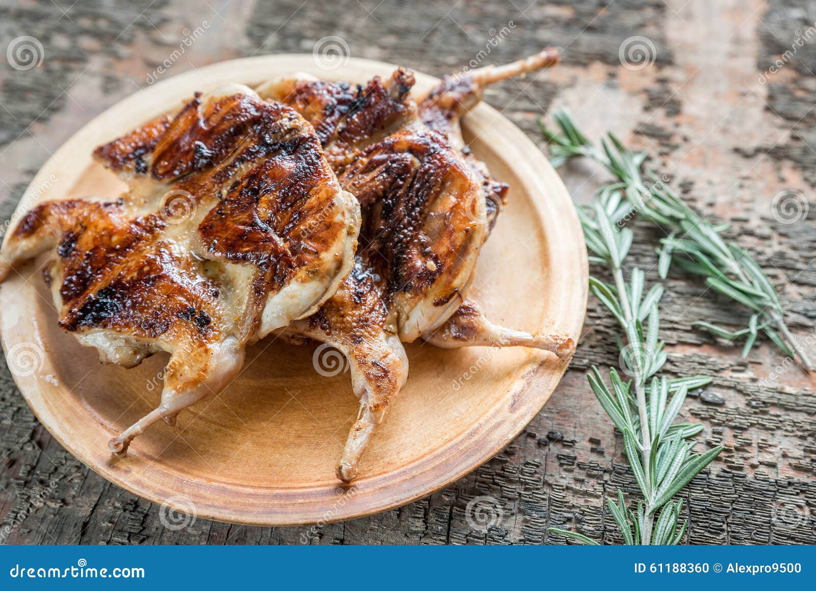 Codornices Asadas a La Parrilla Foto de archivo - Imagen de pocos ...