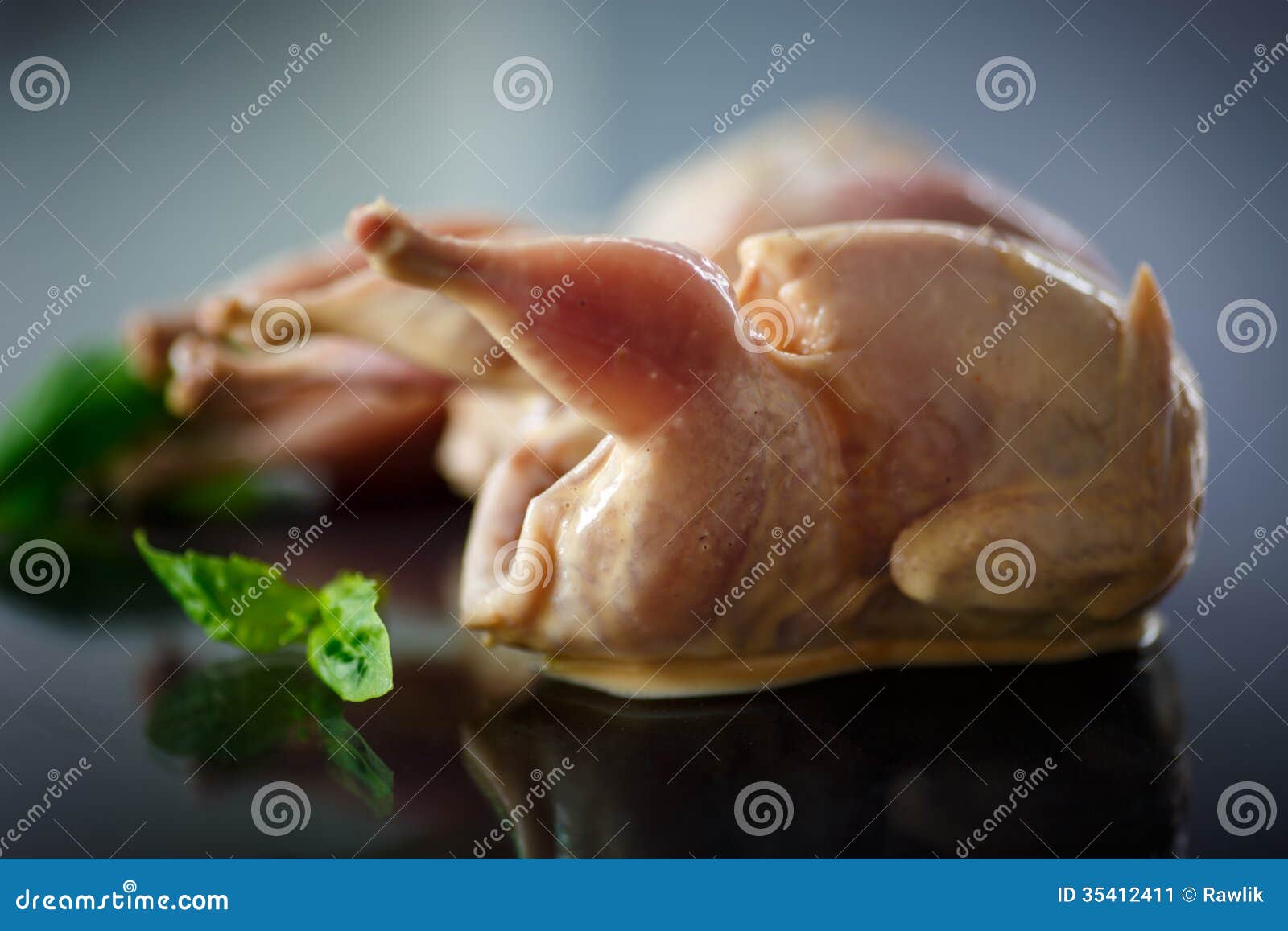 Codornices crudas imagen de archivo. Imagen de fresco - 35412411