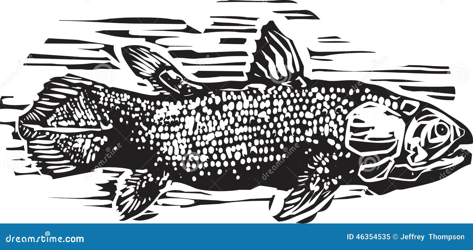 Coelacanth stock vector. Illustration of fish, palaeontology - 46354535