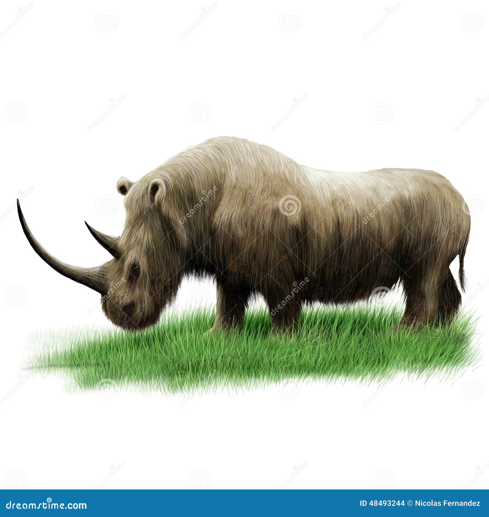 Coelodonta stock illustration. Illustration of wool, painting - 48493244