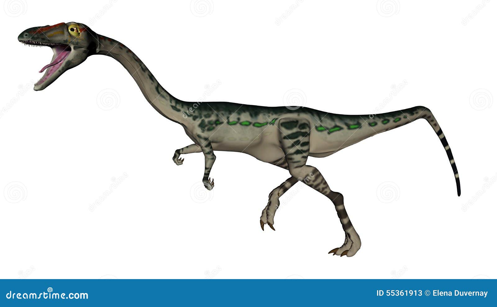 Coelophysis Dinosaur - 3D Render Stock Illustration - Illustration of ...