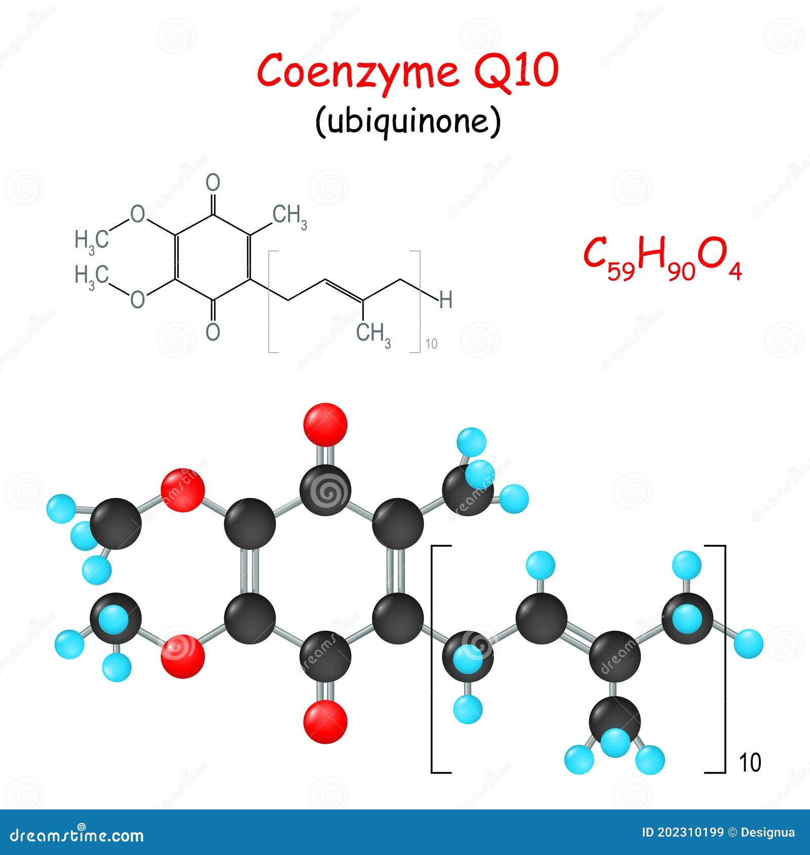 Ubiquinol Molecule. Reduced Form Of Coenzyme Q10. 3D Rendering. Atoms ...