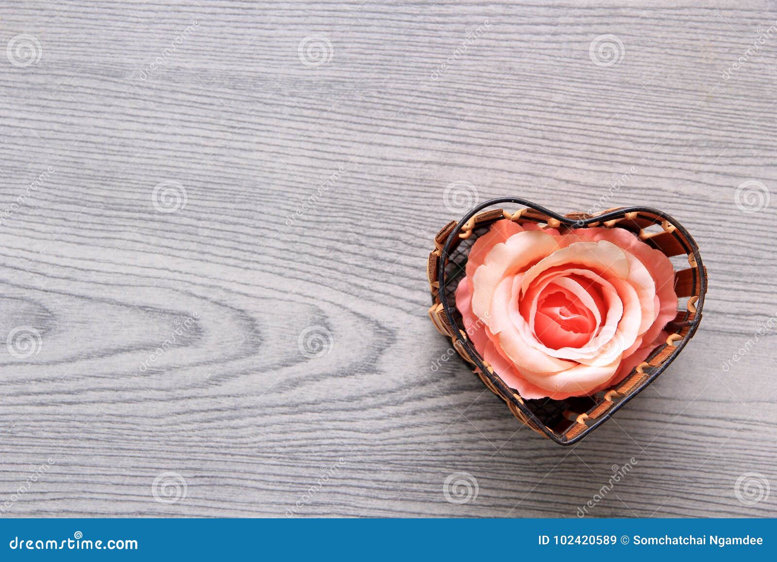 Coeur de rose de rose image stock. Image du valentin - 102420589