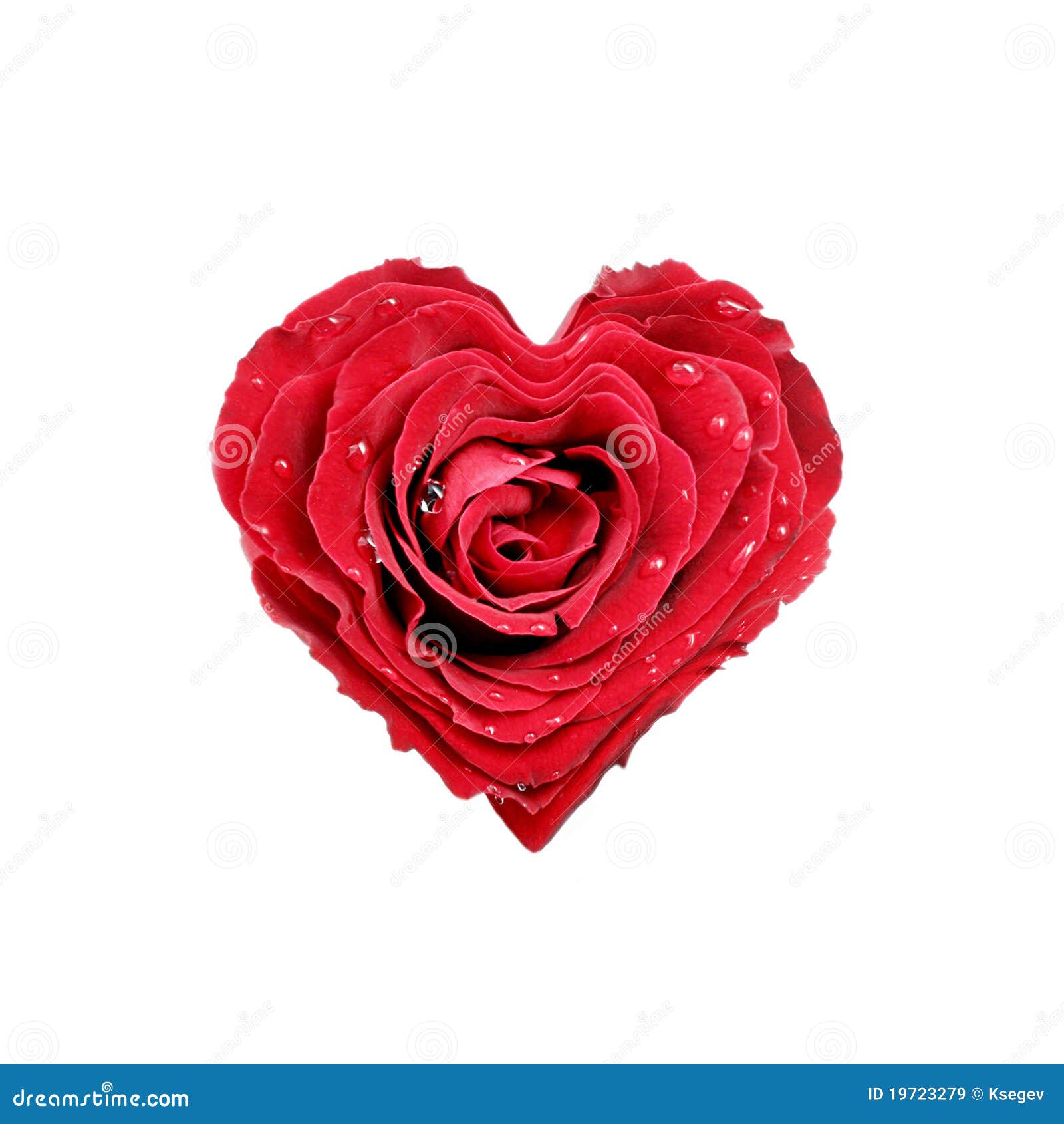 Coeur De Rose Images libres de droits - Image: 19723279